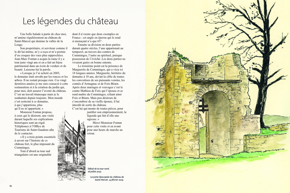 Les Chroniques Baladeuses en livre