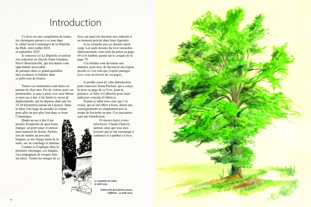 Les Chroniques Baladeuses en livre