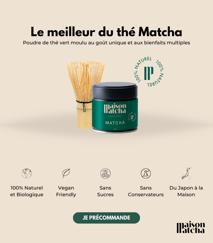 Maison Matcha - Le meilleur du thé matcha ! 561 MERCI 💚