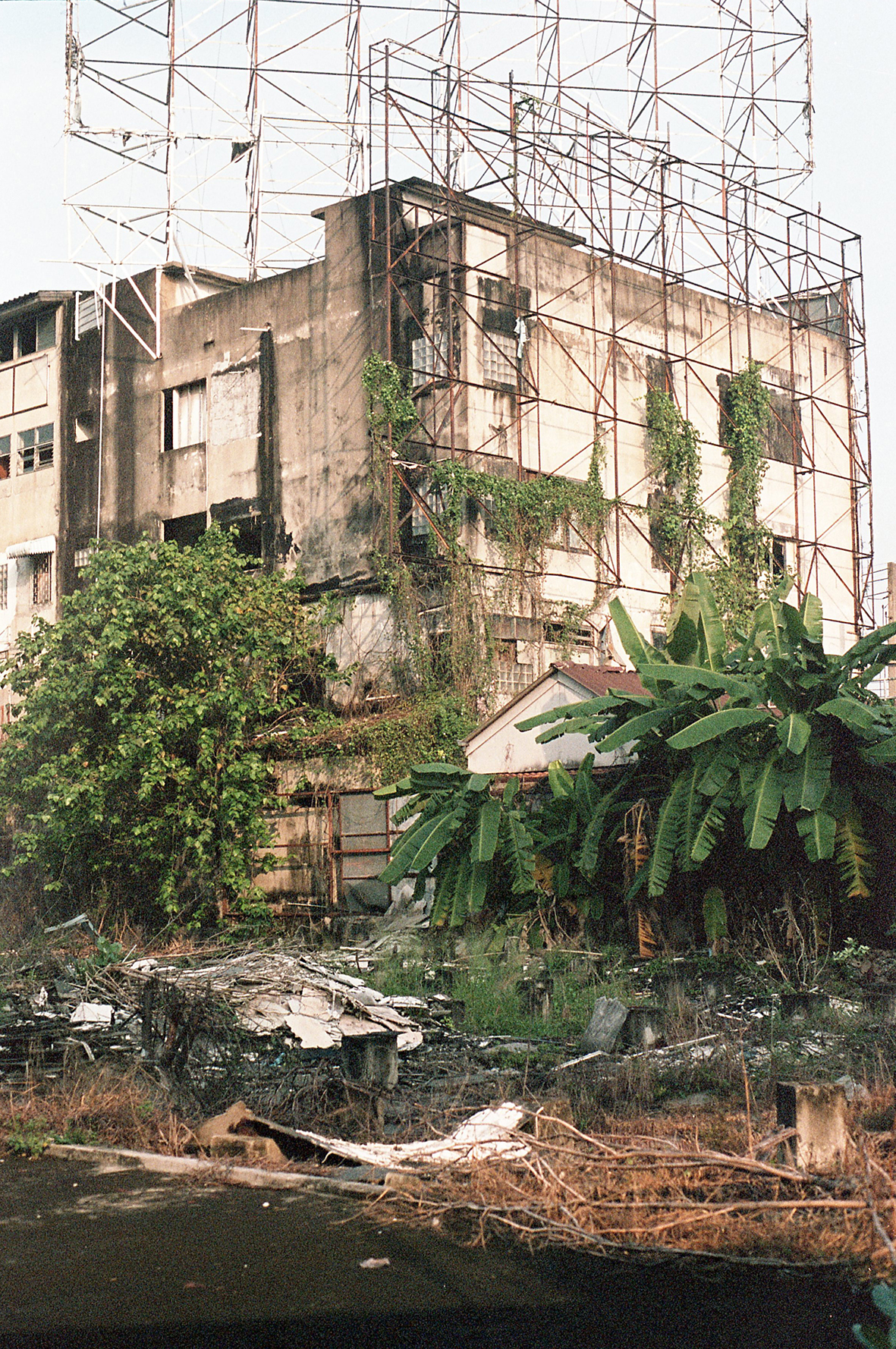 Micro collection (photographies inédites)