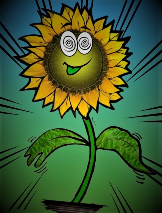 Venez visiter et pourquoi pas semer dans ce potager... ouf