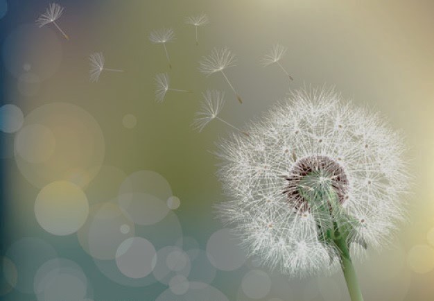 Un cachet décent pour les artistes de Nox