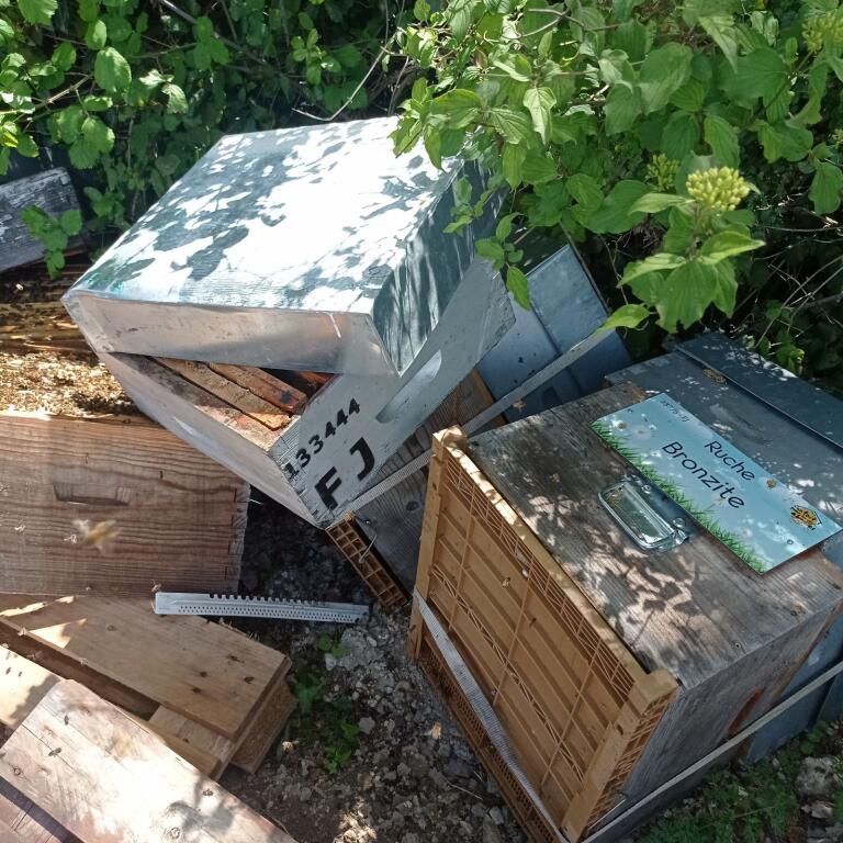 pascal-zenatti - Ulule