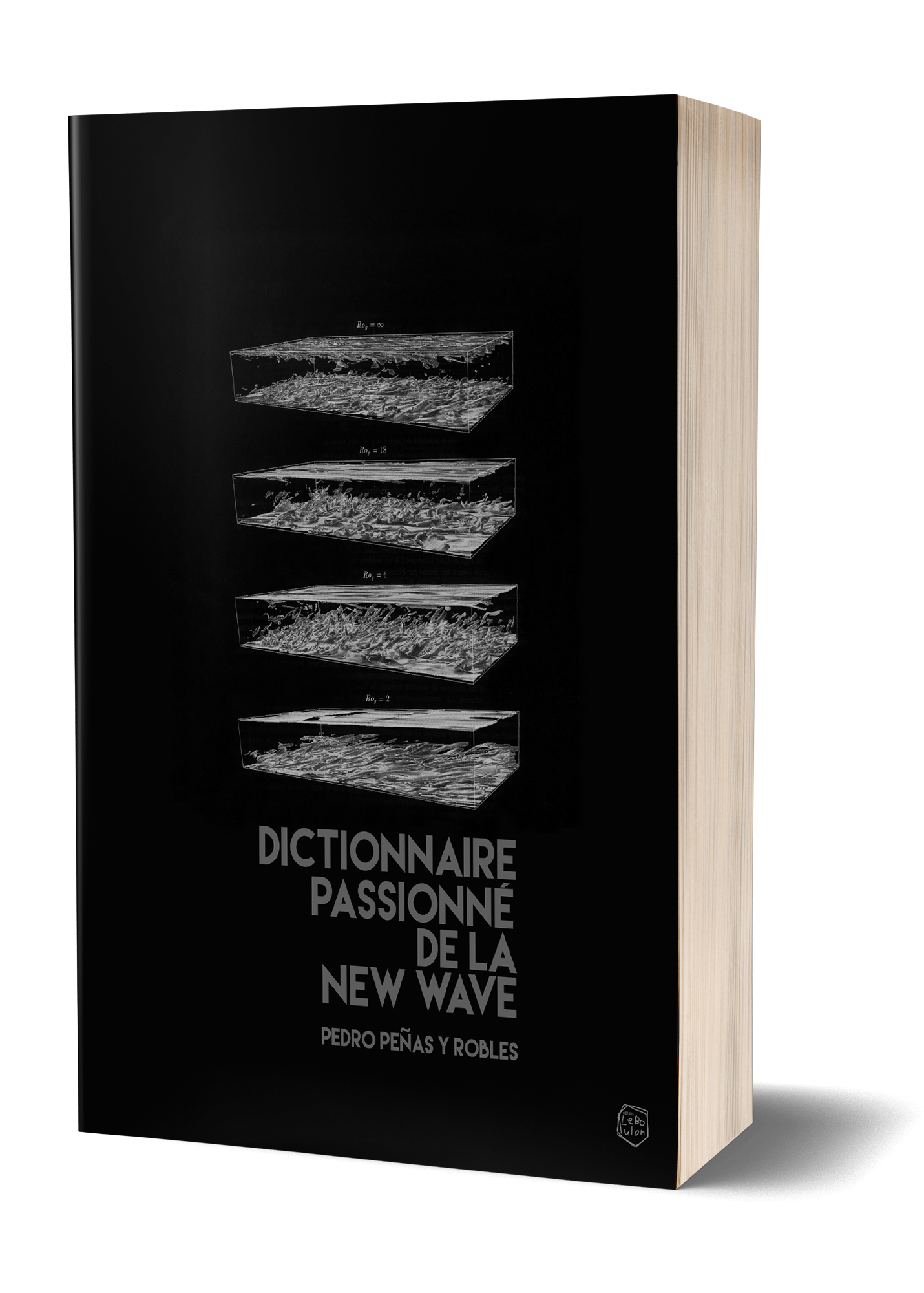 Dictionnaire passionné de la new wave - Ulule