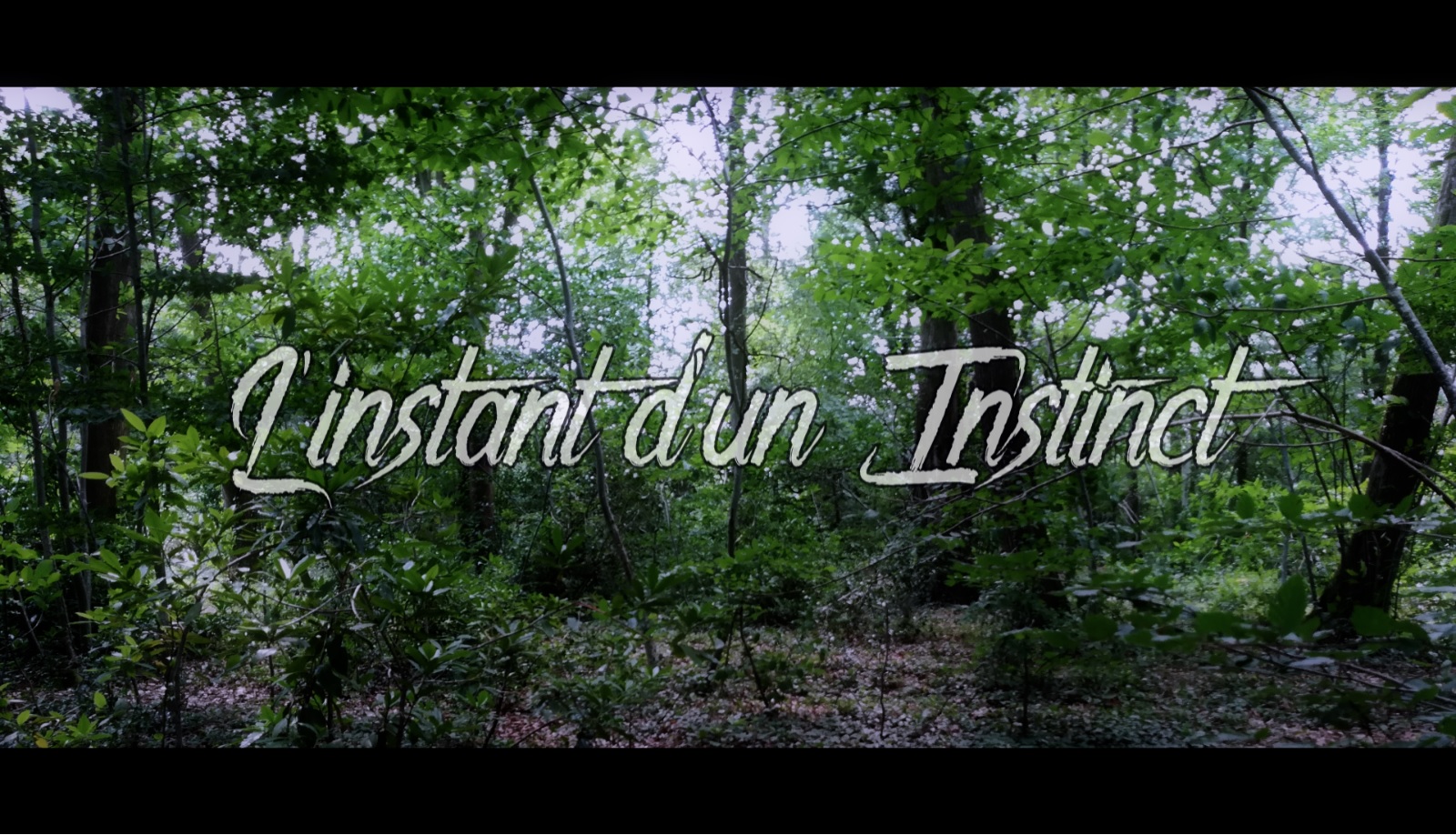 instantduninstinct - Ulule