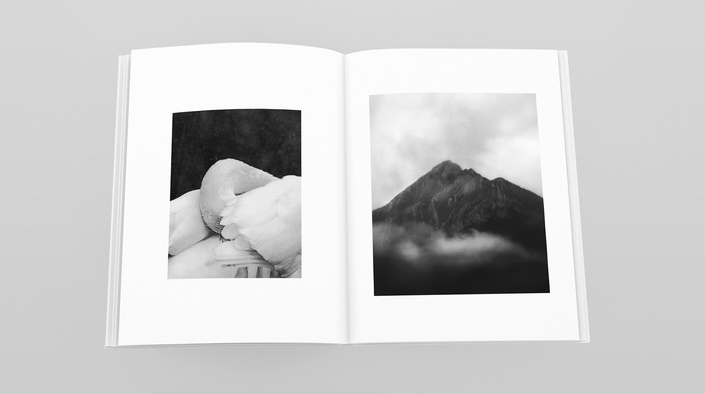 échos & chuchotements