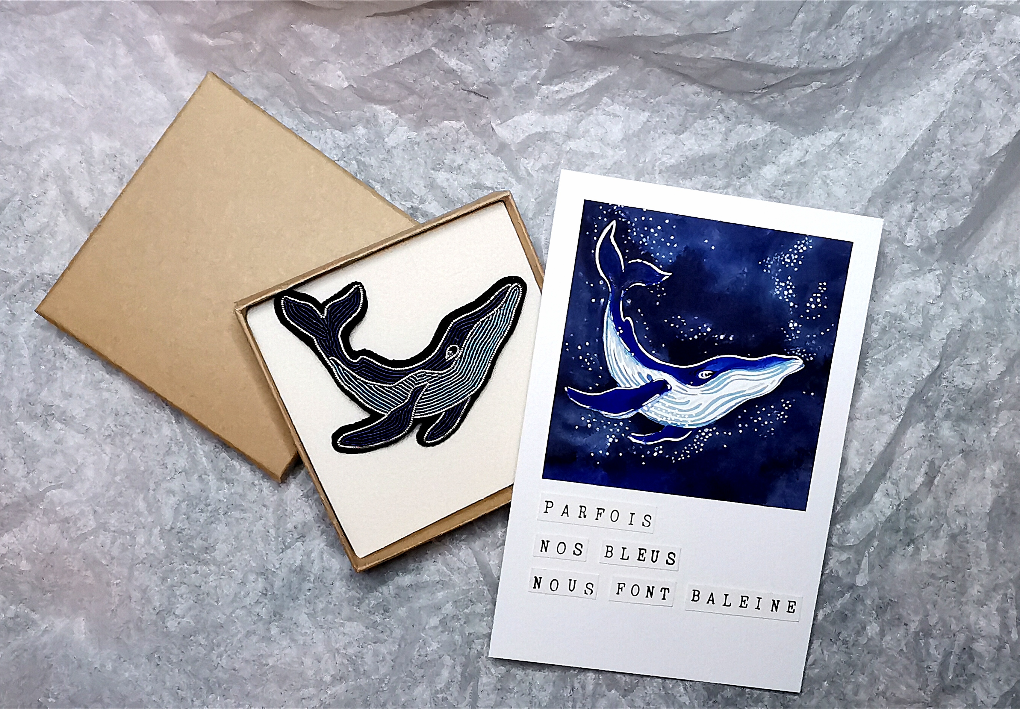 "MES CHIENS NE DORMENT PAS", le 1er Album de Guilhem Valayé. - Ulule