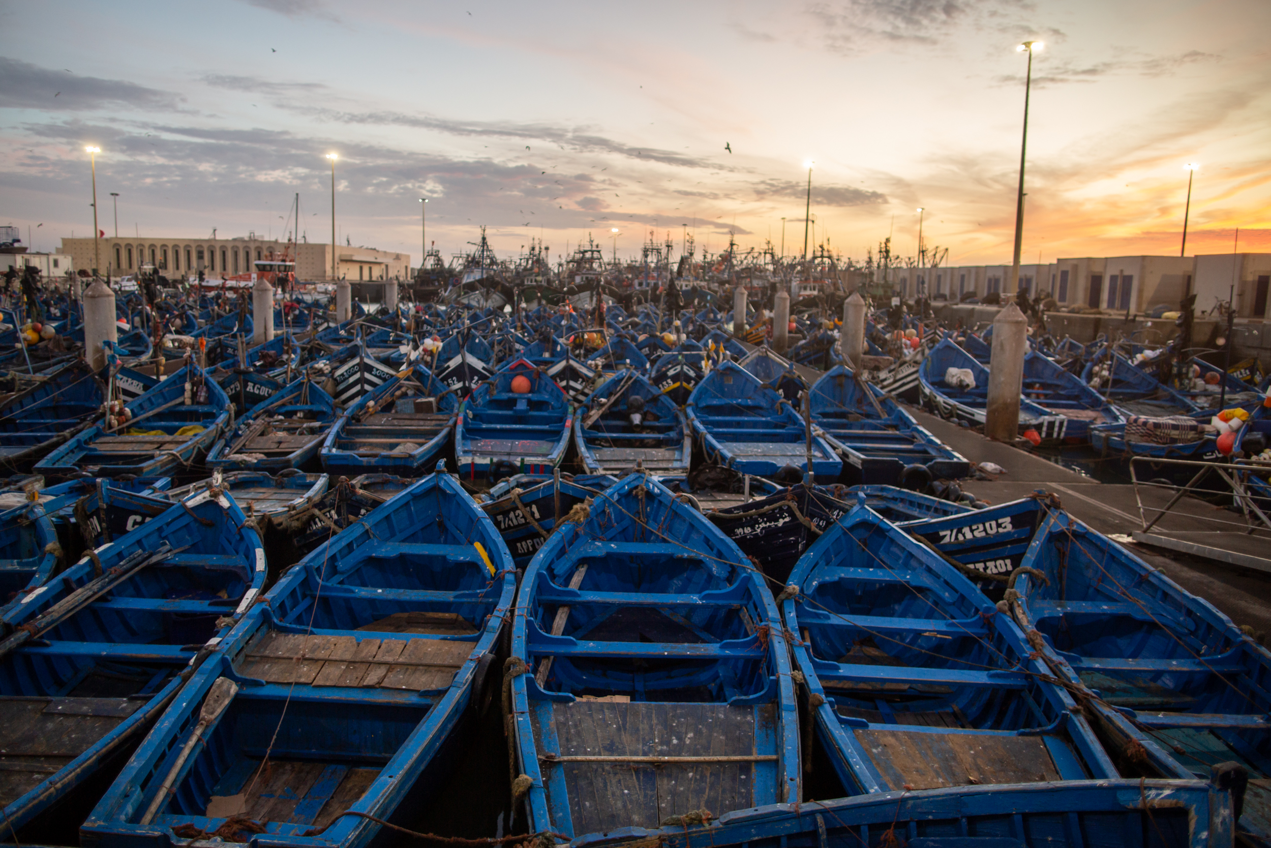 Essaouira, d'or et de bleu