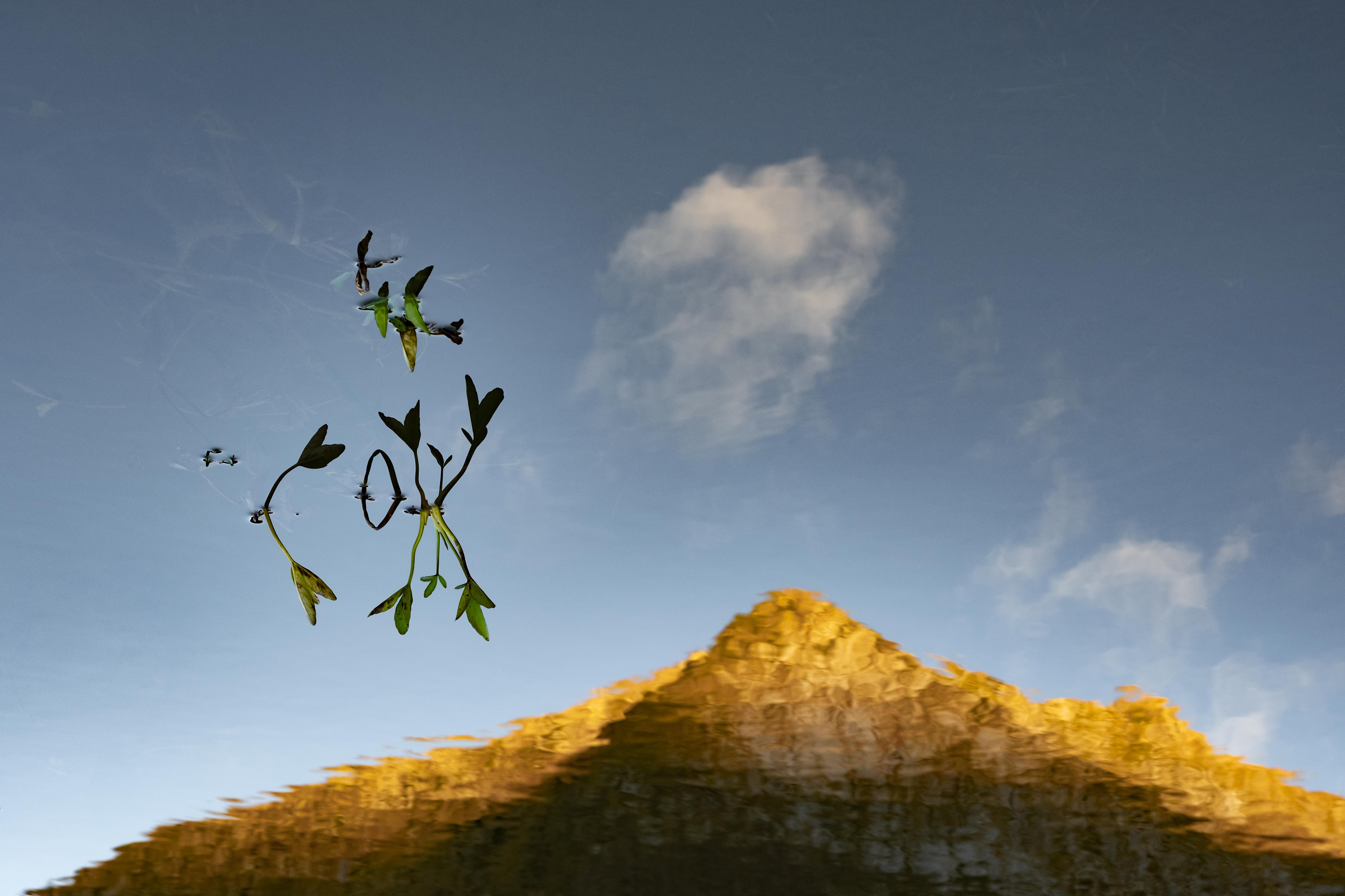 CALENDRIER 2025, une année en OCCITANIE - Ulule