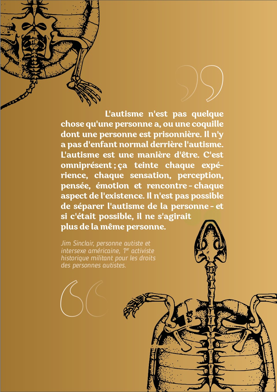 Mook N°2 Le parcours du diagnostic d'autisme