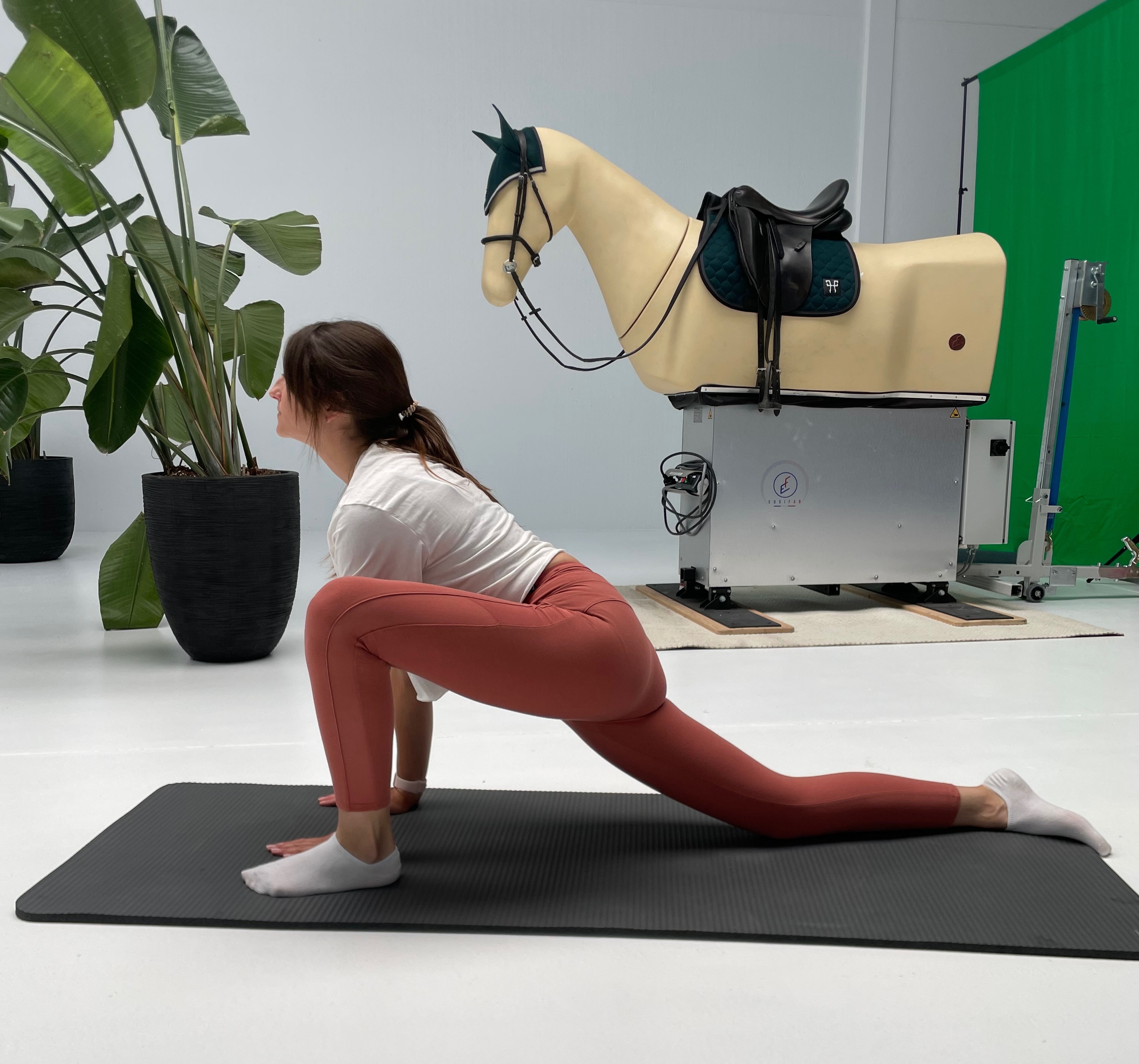 Caval'Fix : l'élastique créé pour aider les cavaliers ! - Ulule