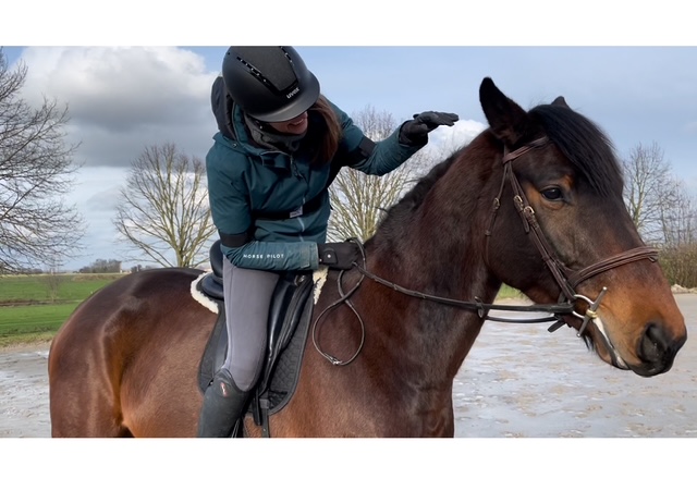 Caval'Fix : l'élastique créé pour aider les cavaliers ! - Ulule