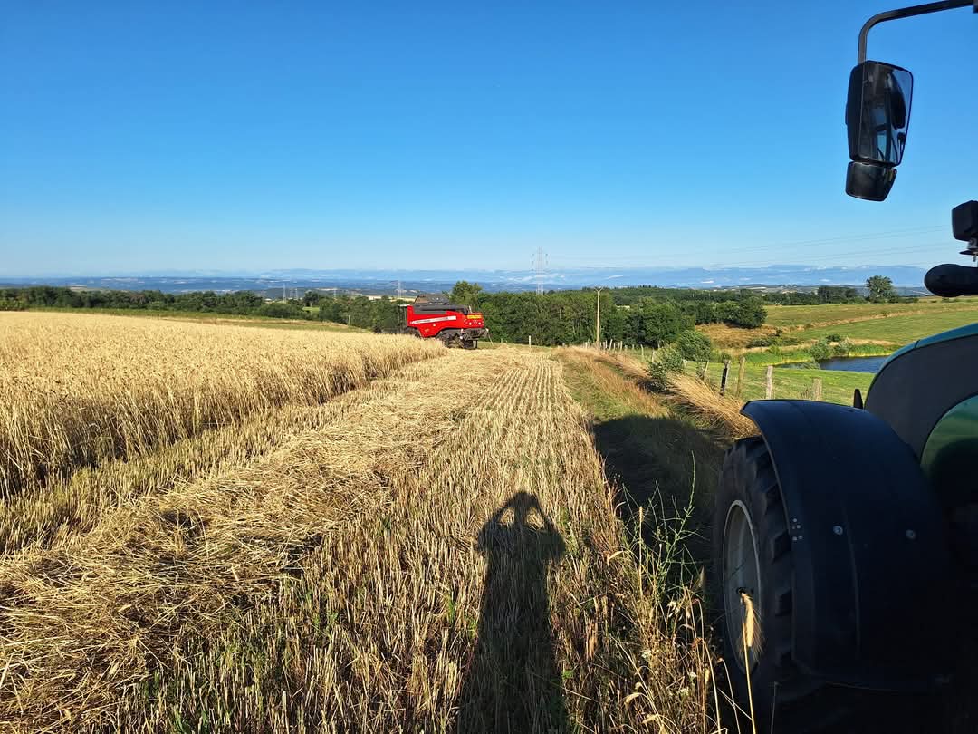 Moulin Tracol : Le pain de nos champs - Ulule