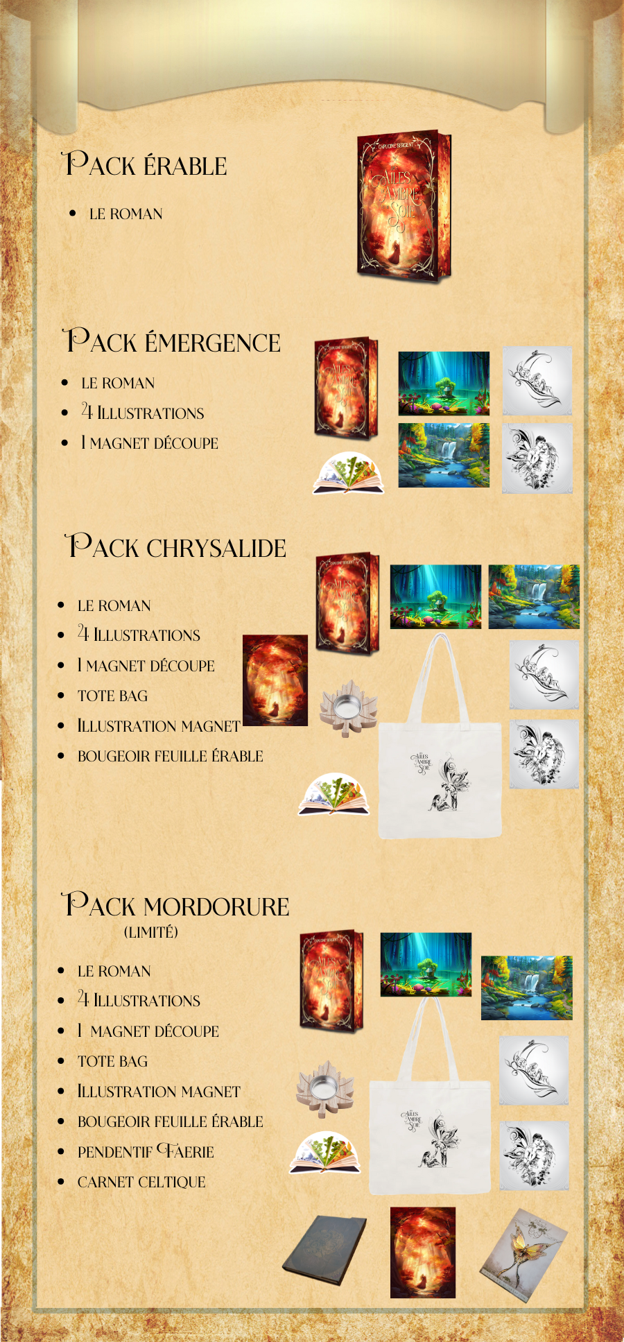 Des Ailes d'Ambre et de Soie - Intégrale