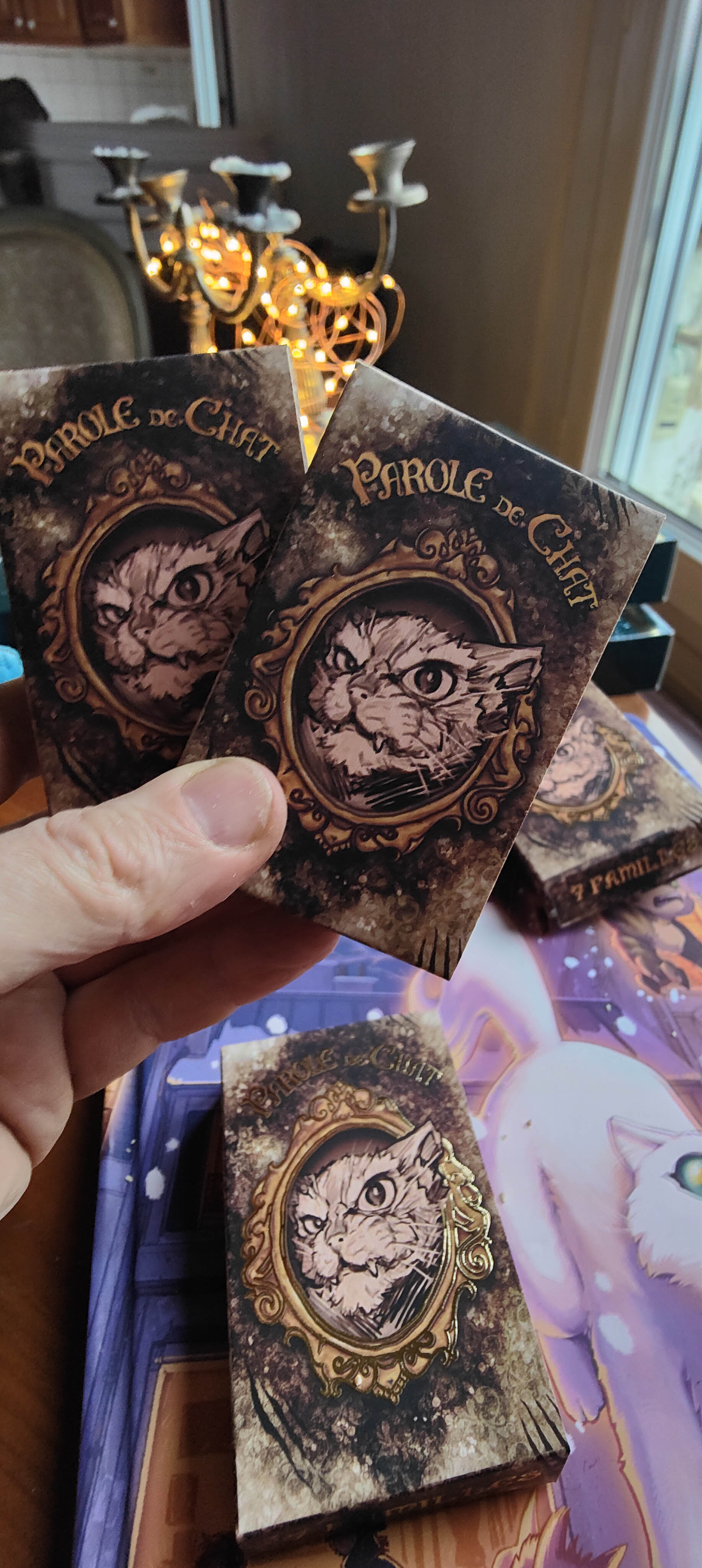 Parole de chat – Jeu de 7 familles - Ulule