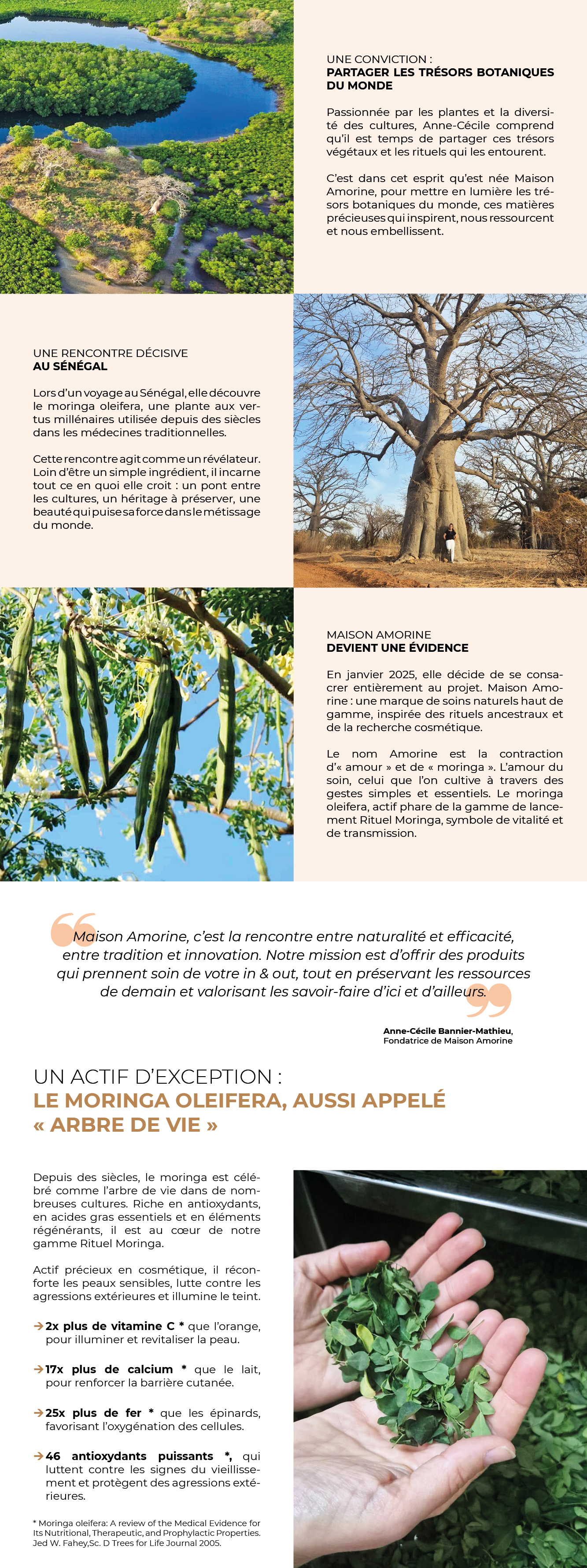 J-1 Maison Amorine Skincare 🌿