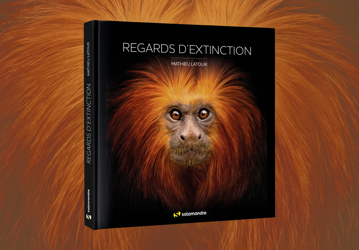 Pour que le livre Regards d'Extinction voie le jour - Ulule