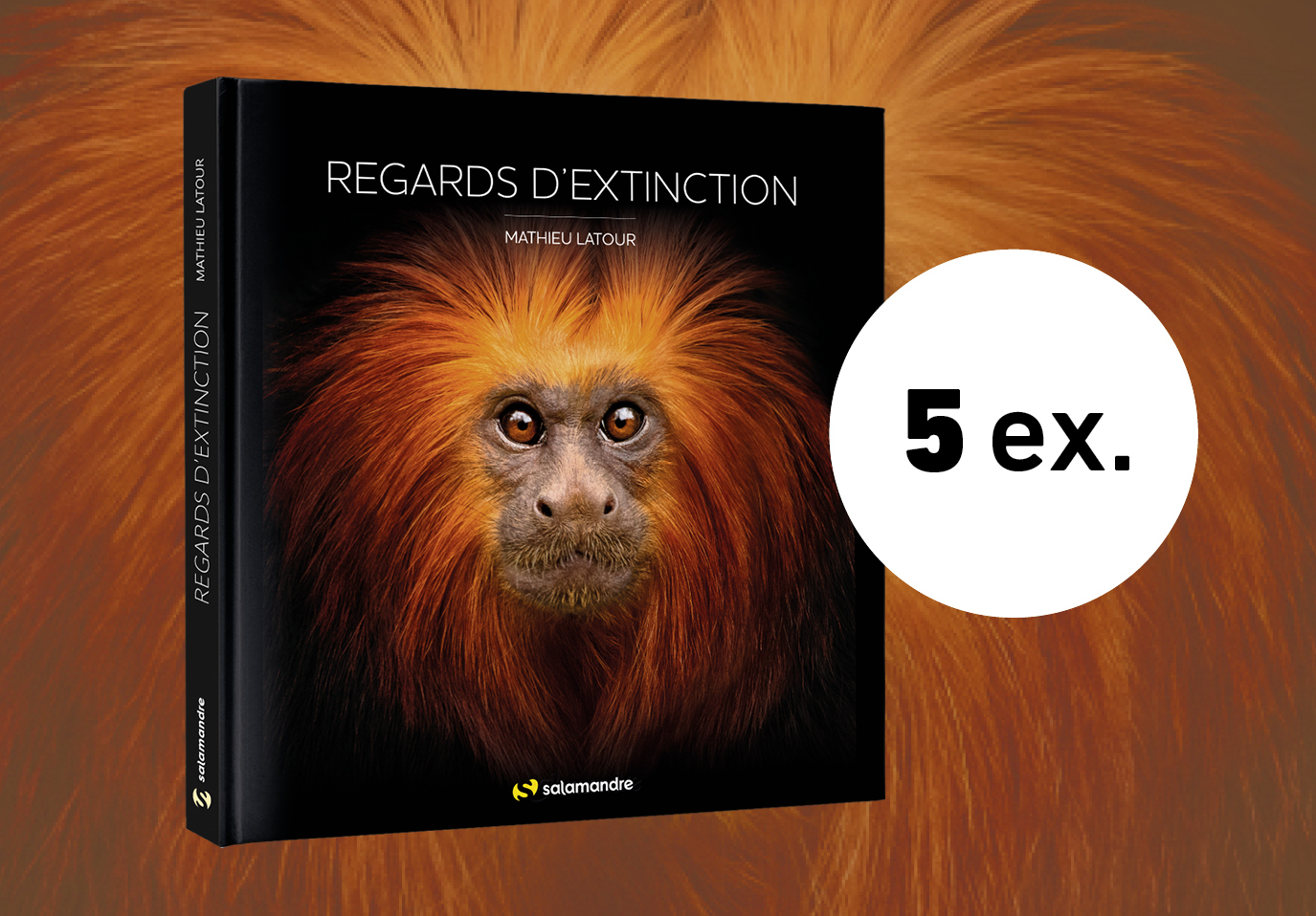 Pour que le livre Regards d'Extinction voie le jour - Ulule