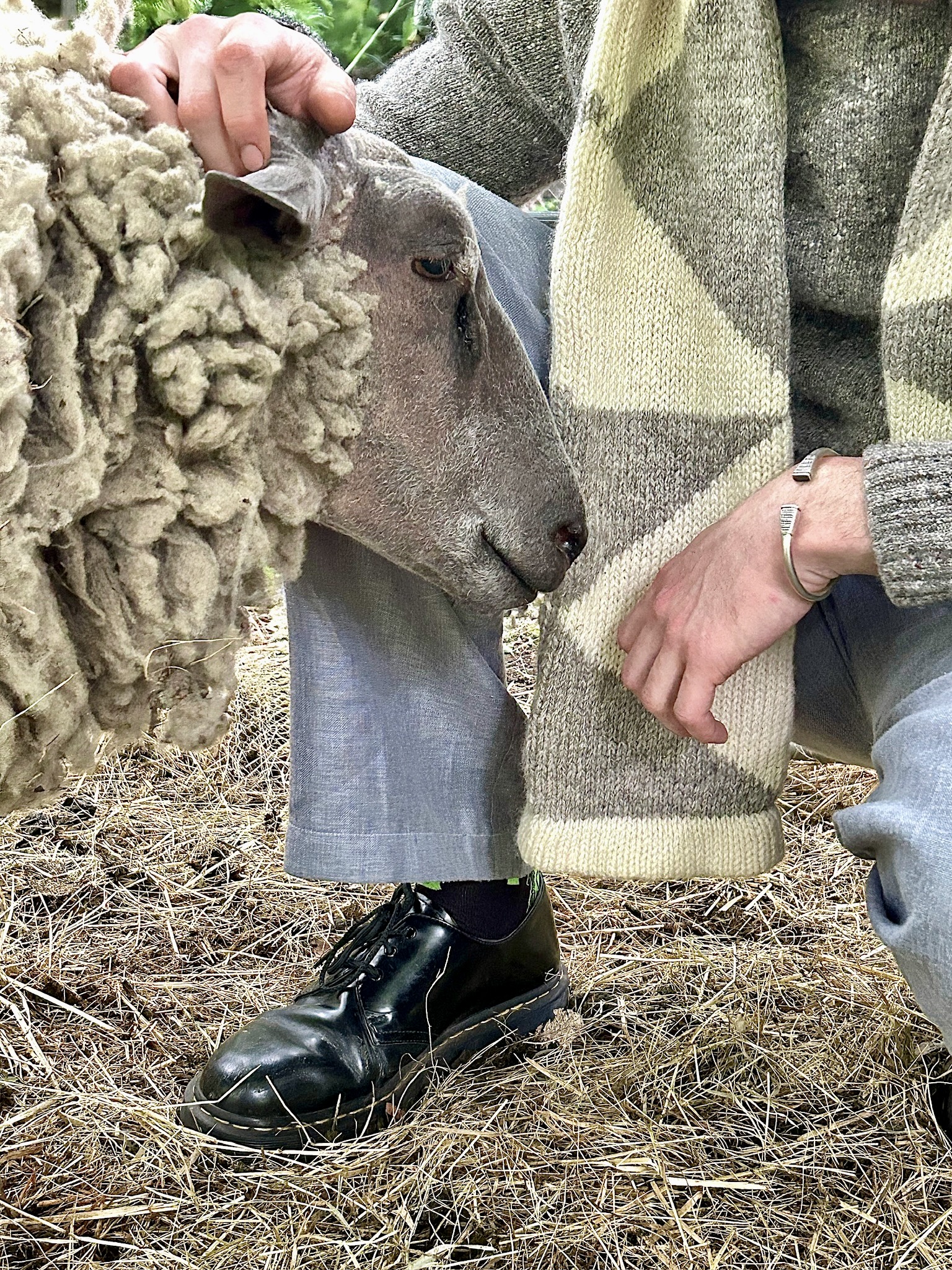 Les créations de Laisse Mouton, accessoires en laine - Ulule