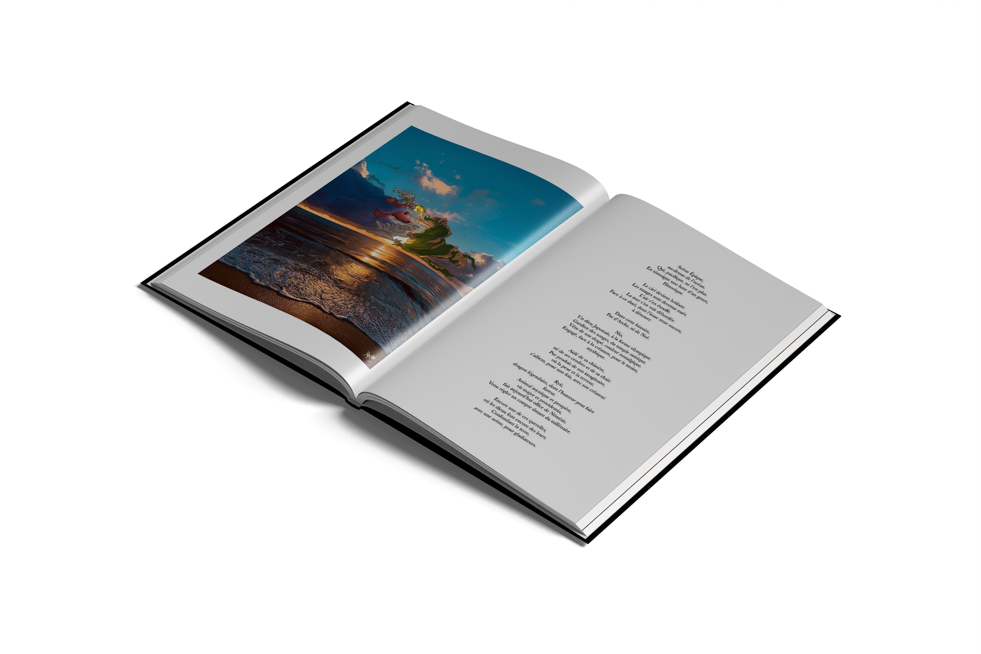 Livre d'art: L'enfant nuage - Ulule