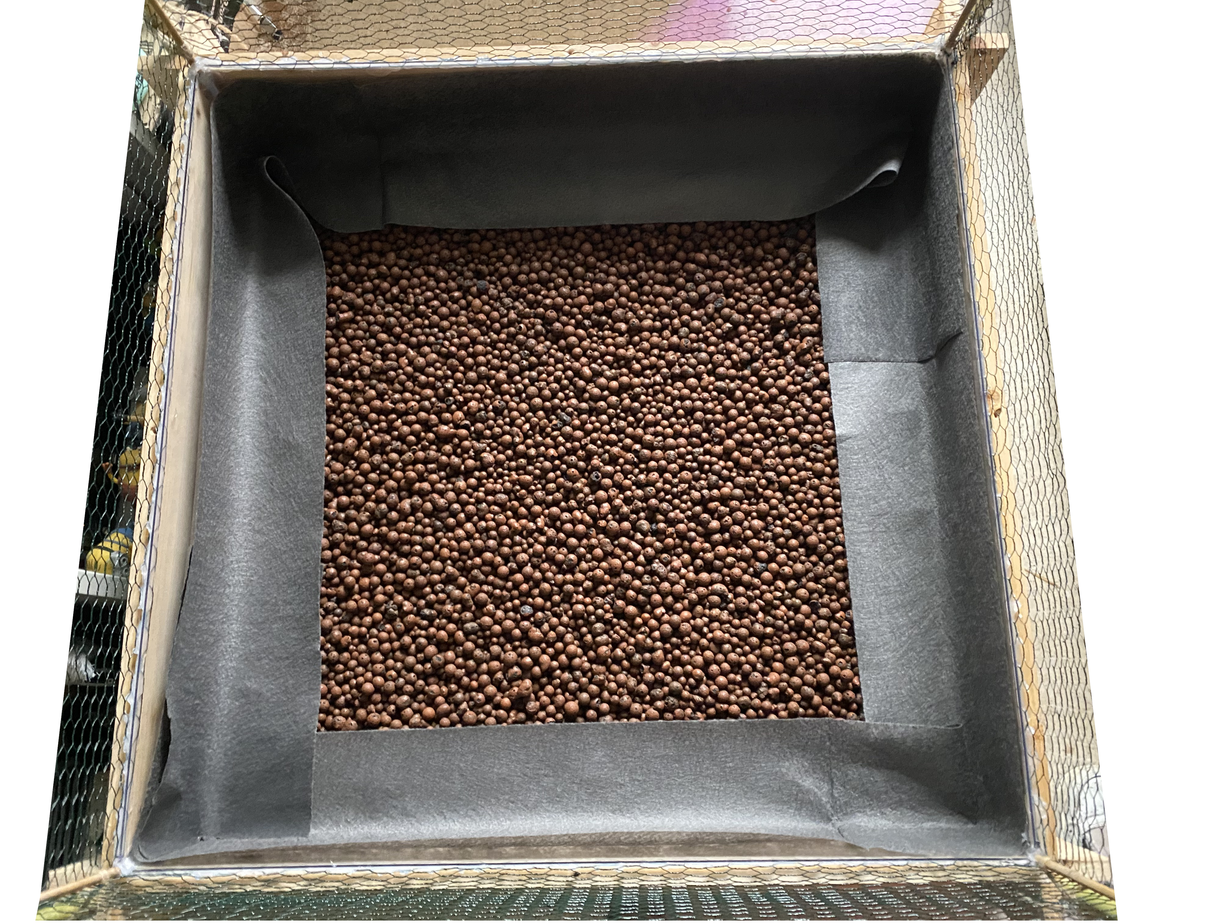 Jungle Urbaine, Transformez Votre Espace avec des Écosystème - Ulule