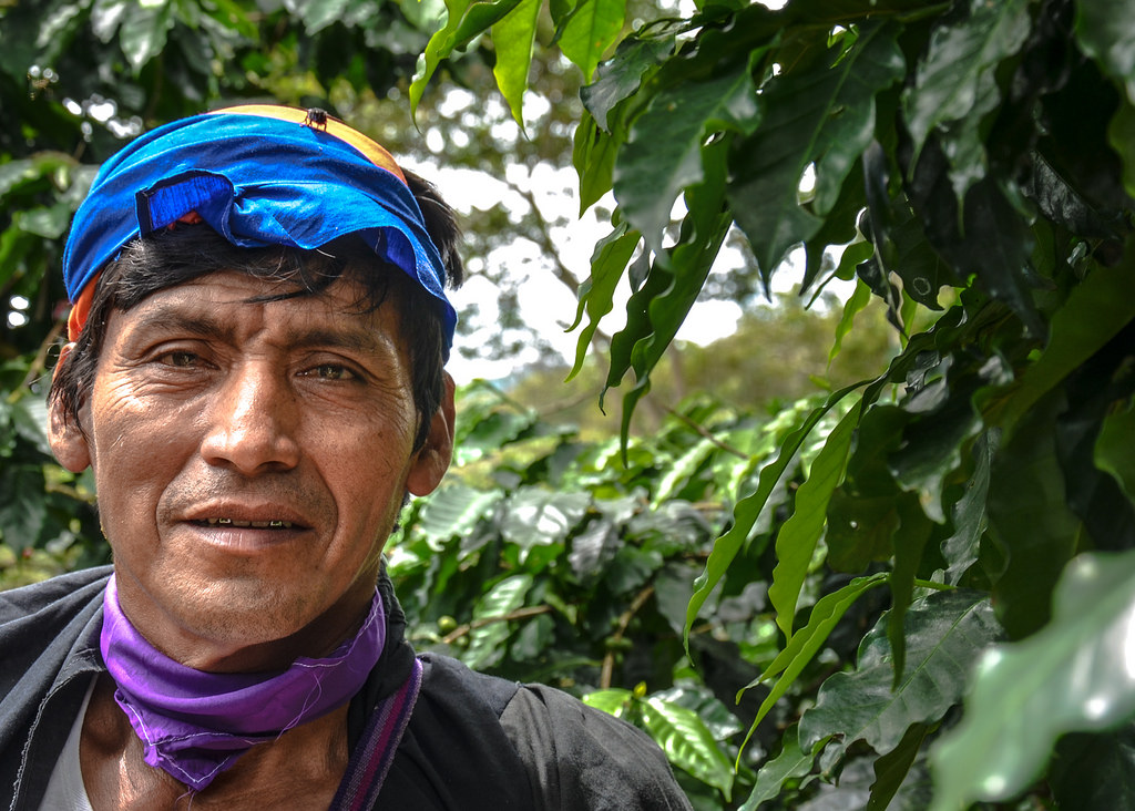 Bernard Michon - Ulule