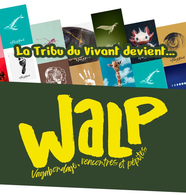 Walp : le nouveau magazine de Nans & Mouts