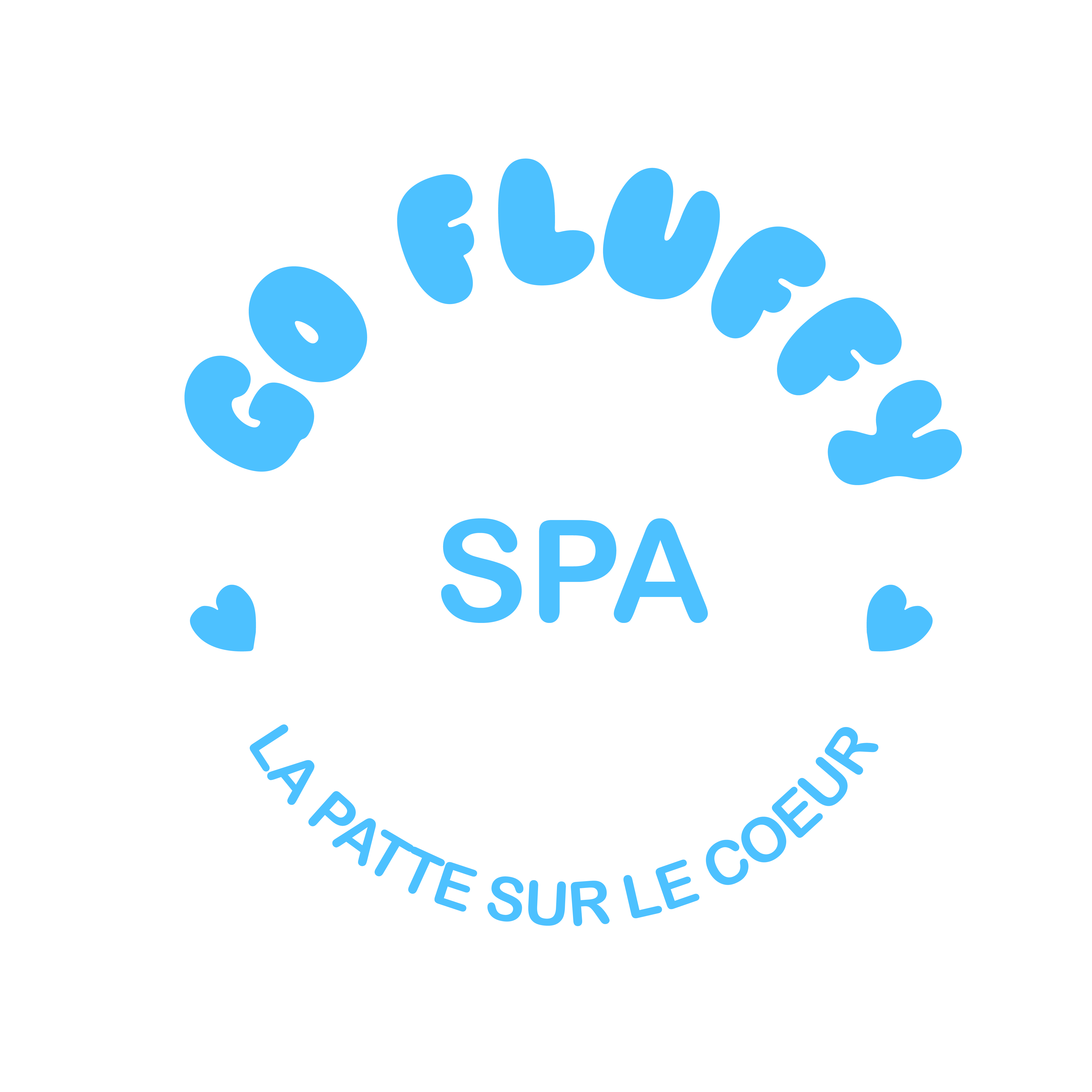 Go Fluffy : Une garderie unique pour les chiens