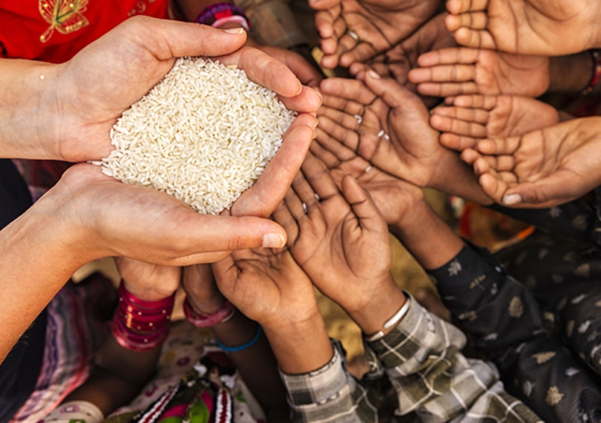 Save our farmers, protect our food. - Ulule