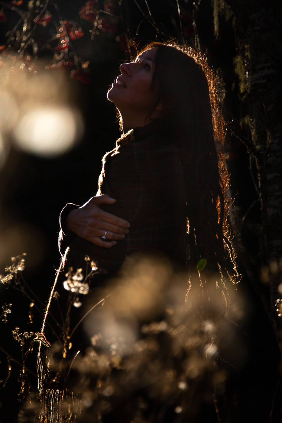 Le Chant de la Forêt - Ulule