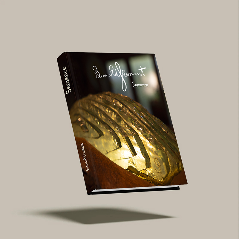 " Semence" de Bernard Froment - Ulule
