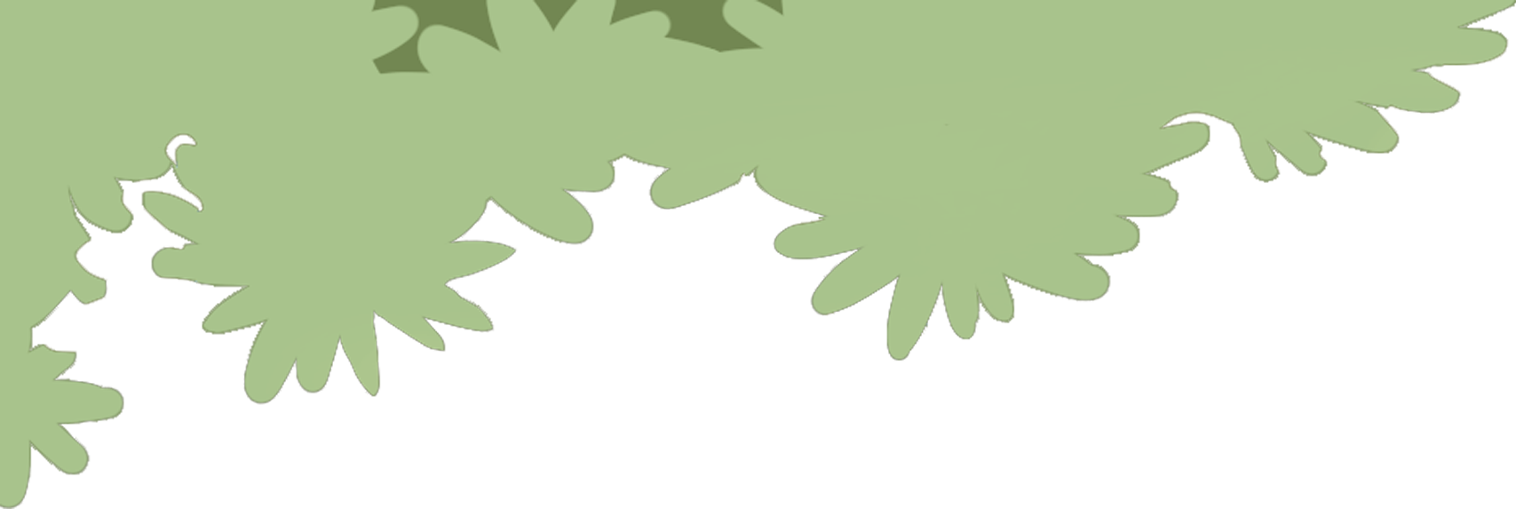 Forest Leader - Ulule