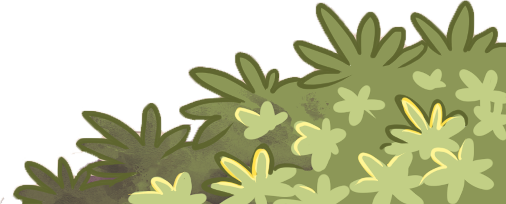 Forest Leader - Ulule