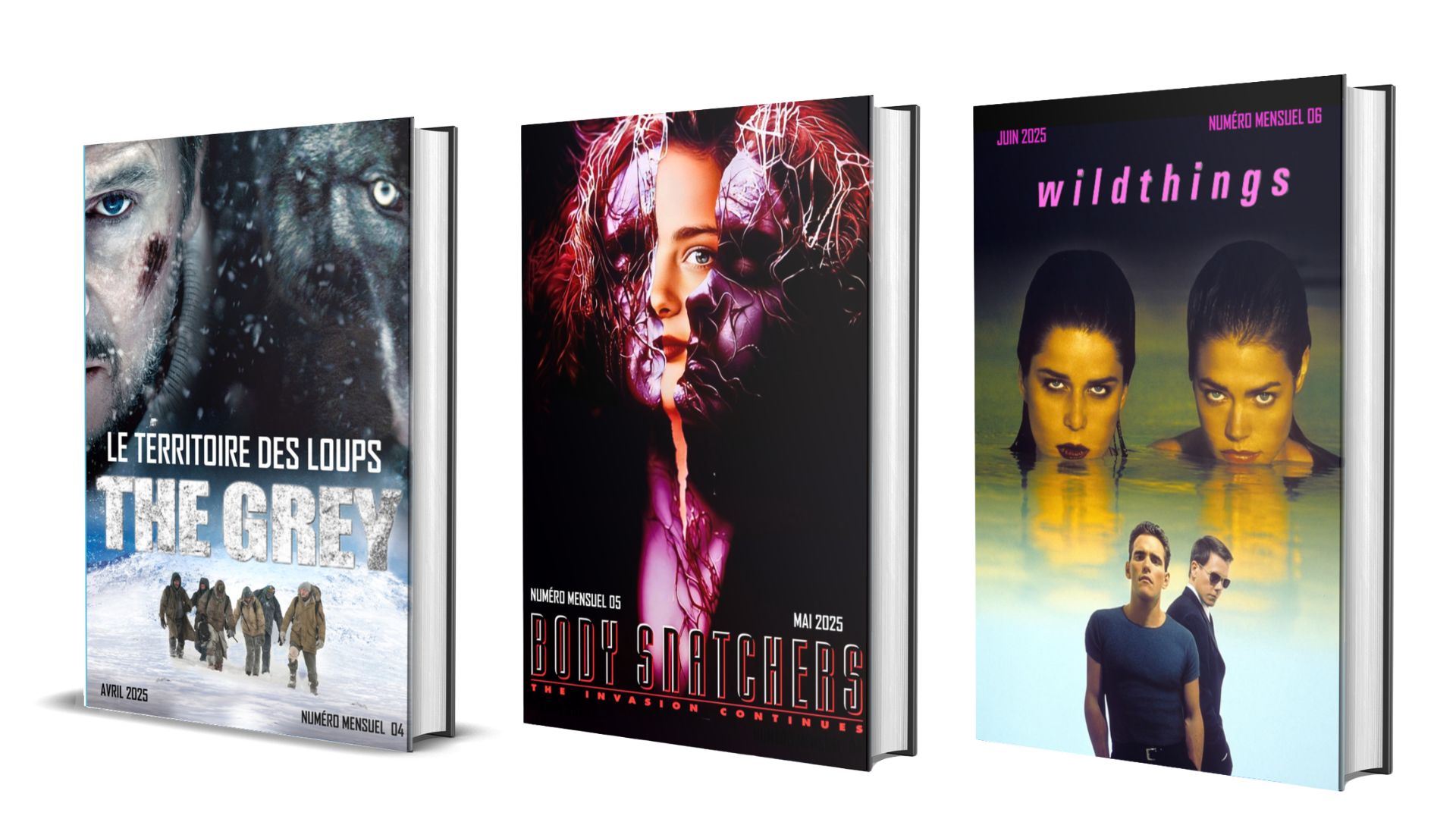 Fanzine Art de cinéma, le mensuel. - Ulule