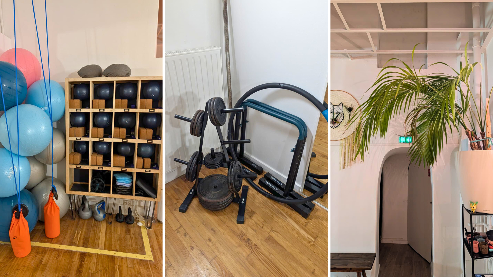 Wyldside - Salle de sport Hybride - Ulule