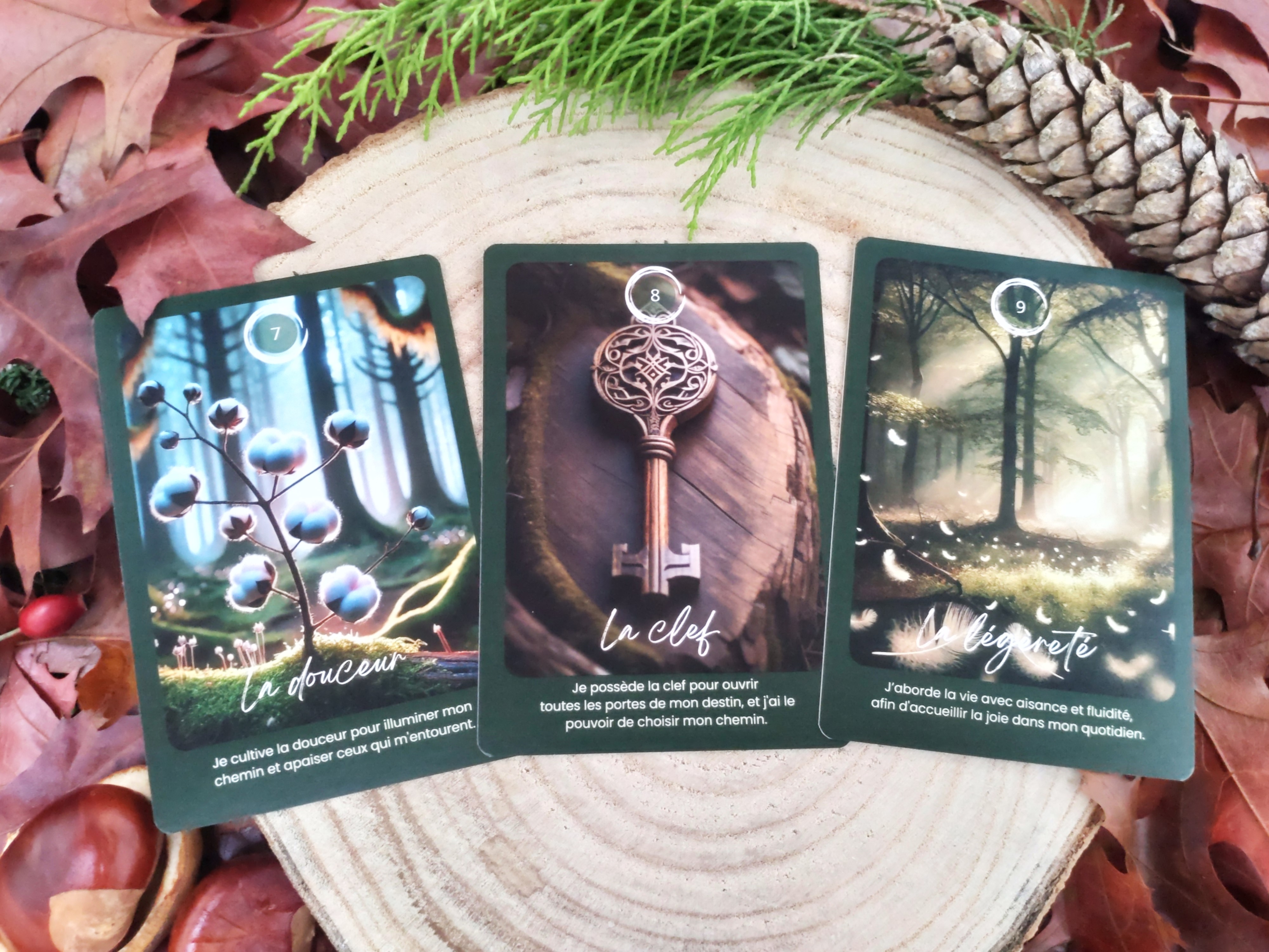 L'Oracle de la Forêt Enchantée - Ulule