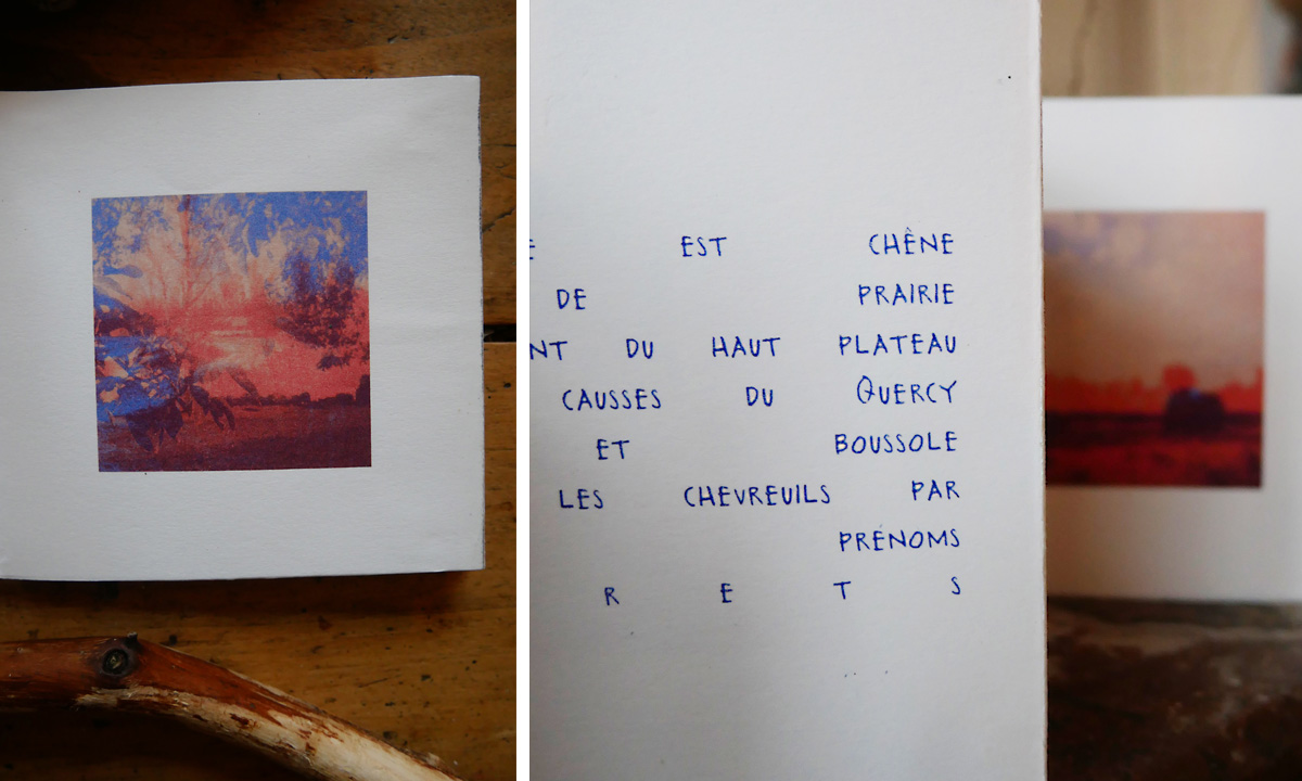 PIERRE FEUILLES FERRAILLE / Recueil de poésie - Ulule