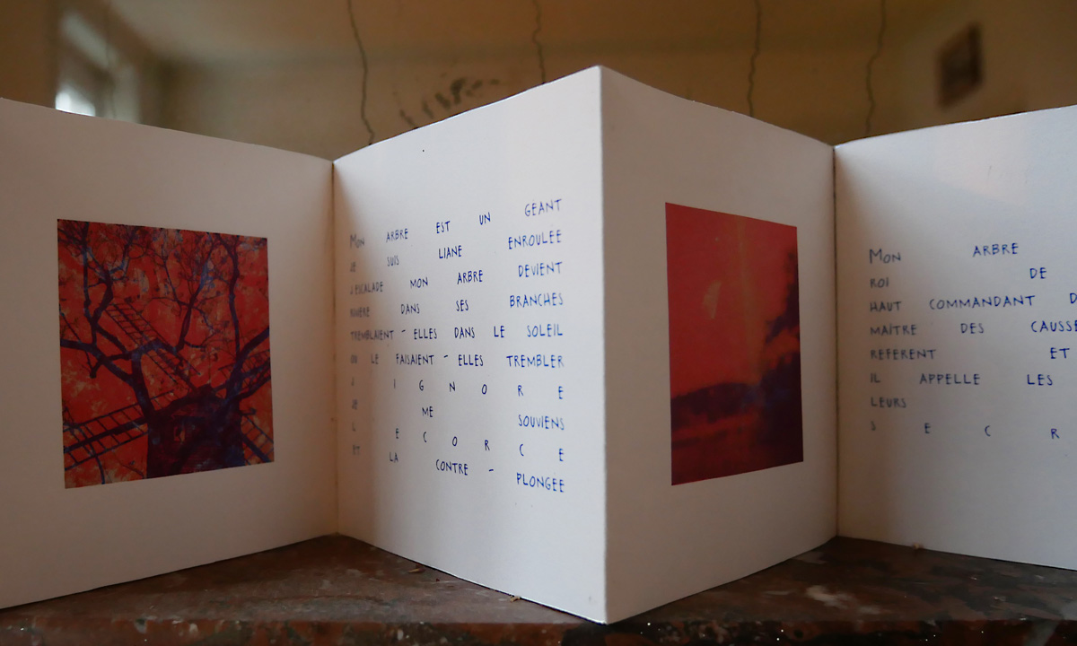 PIERRE FEUILLES FERRAILLE / Recueil de poésie - Ulule