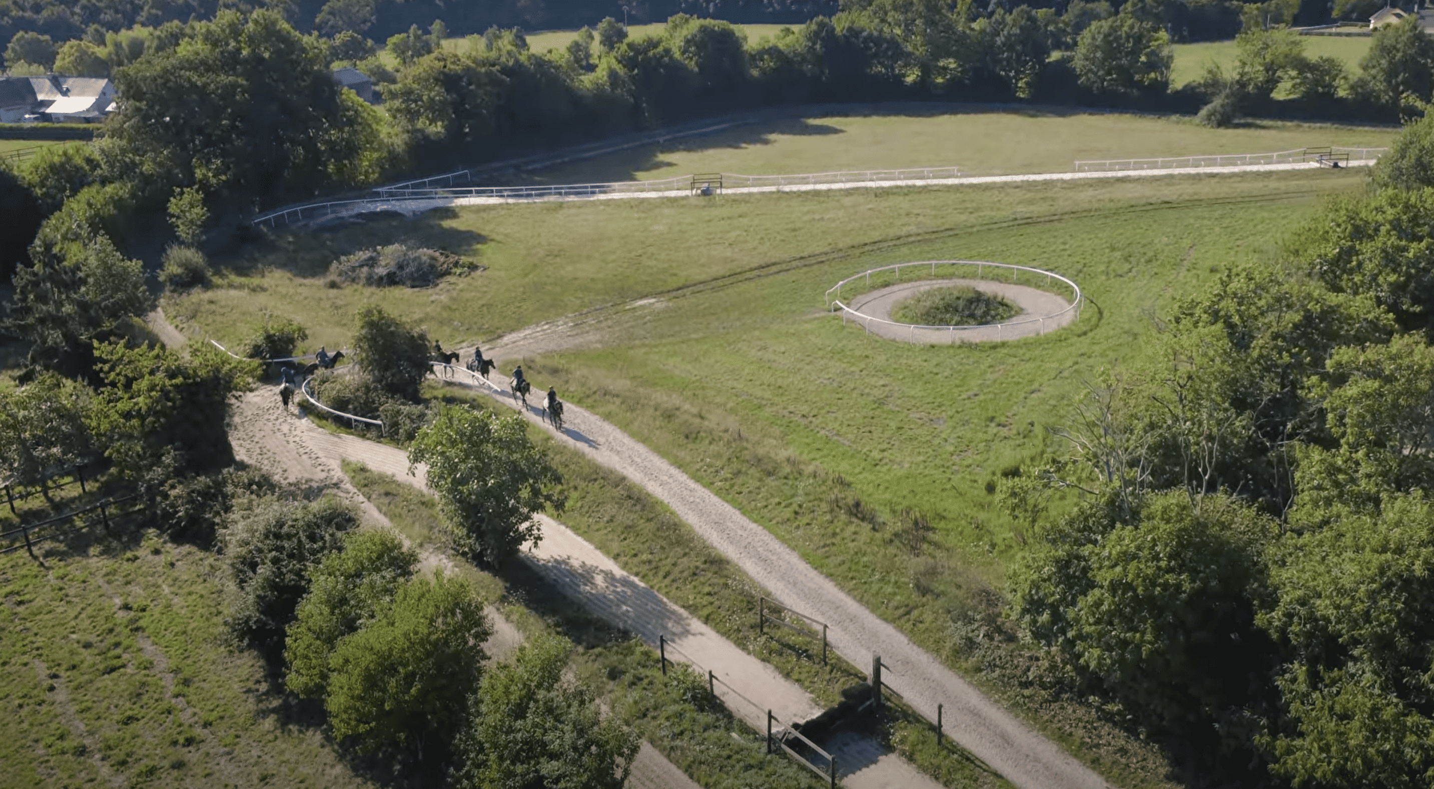 Le galop & les courses autrement, avec Nicolas Paysan