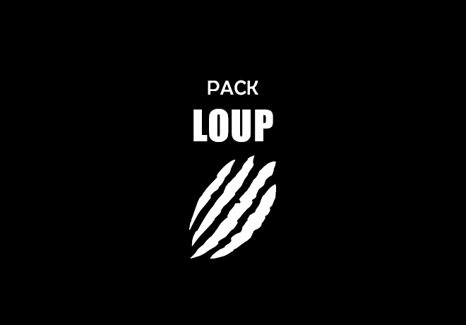 ALVAN - 1er album LOUP - Ulule