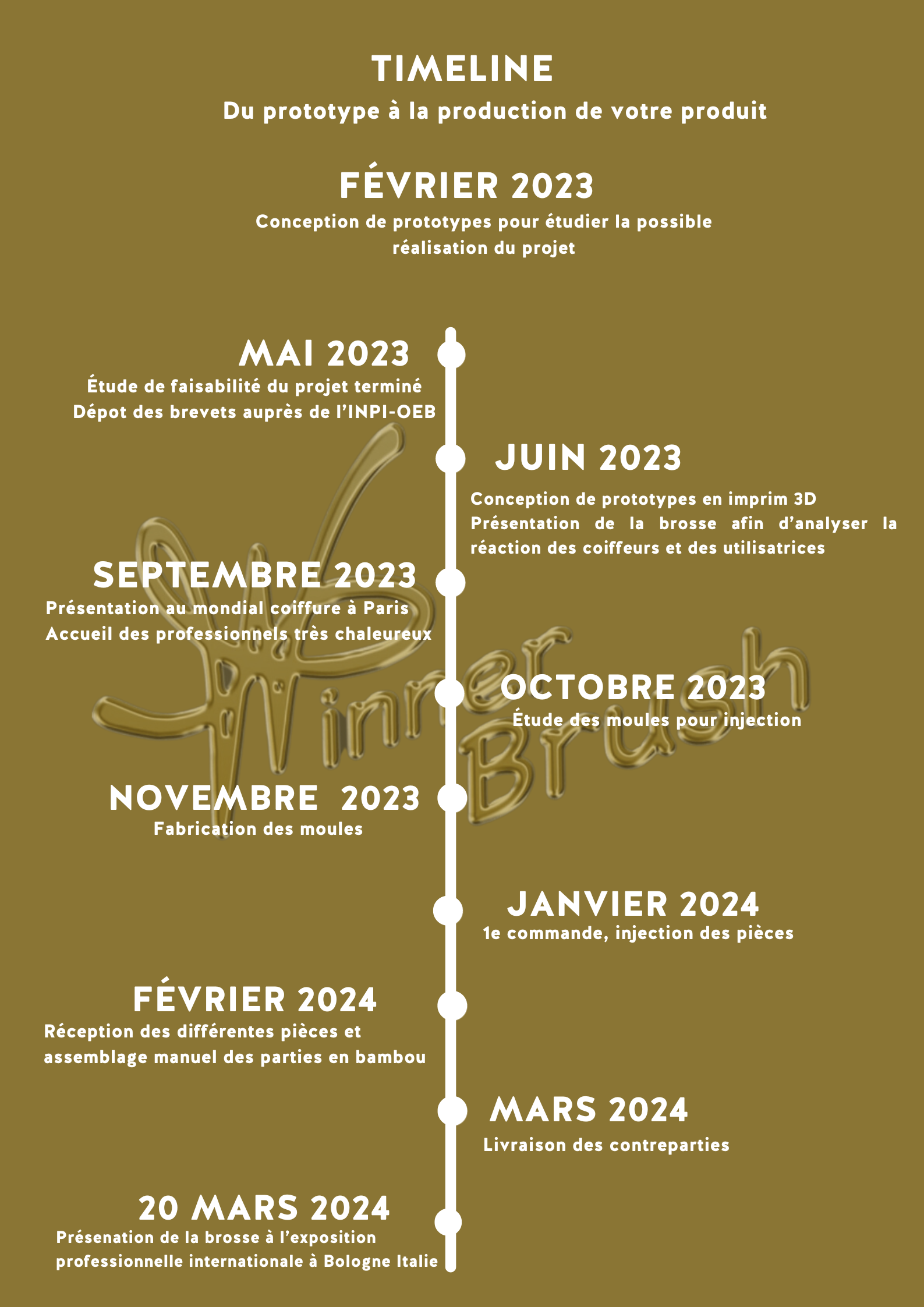 WinnerBrush, la brosse qui embellit vos cheveux. - Ulule