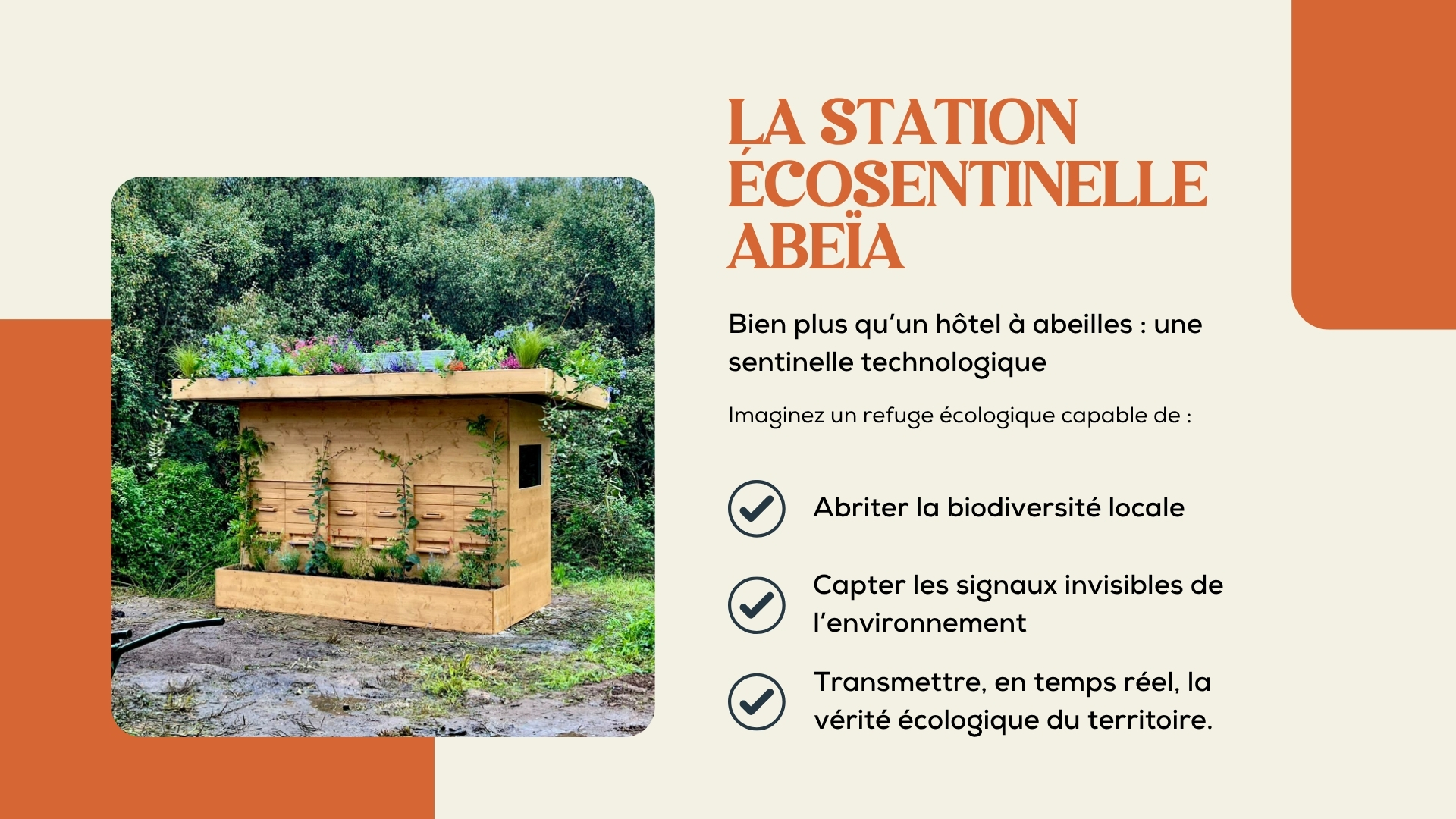 Abeïa – Offrez un refuge aux abeilles, semez la biodiversité