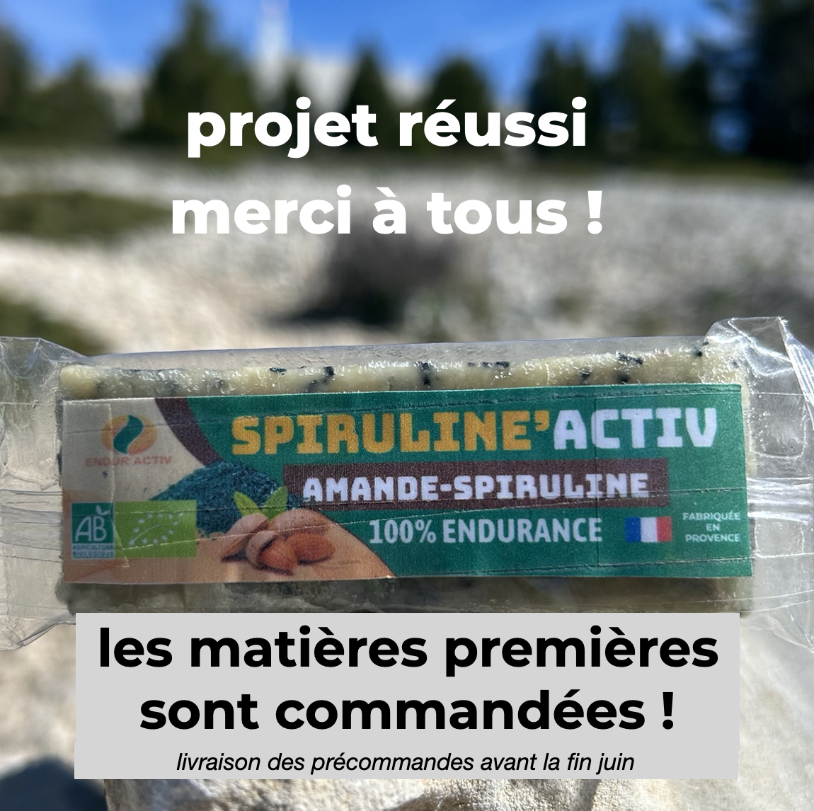 Barre BIO pâte d'amande à la spiruline - Ulule