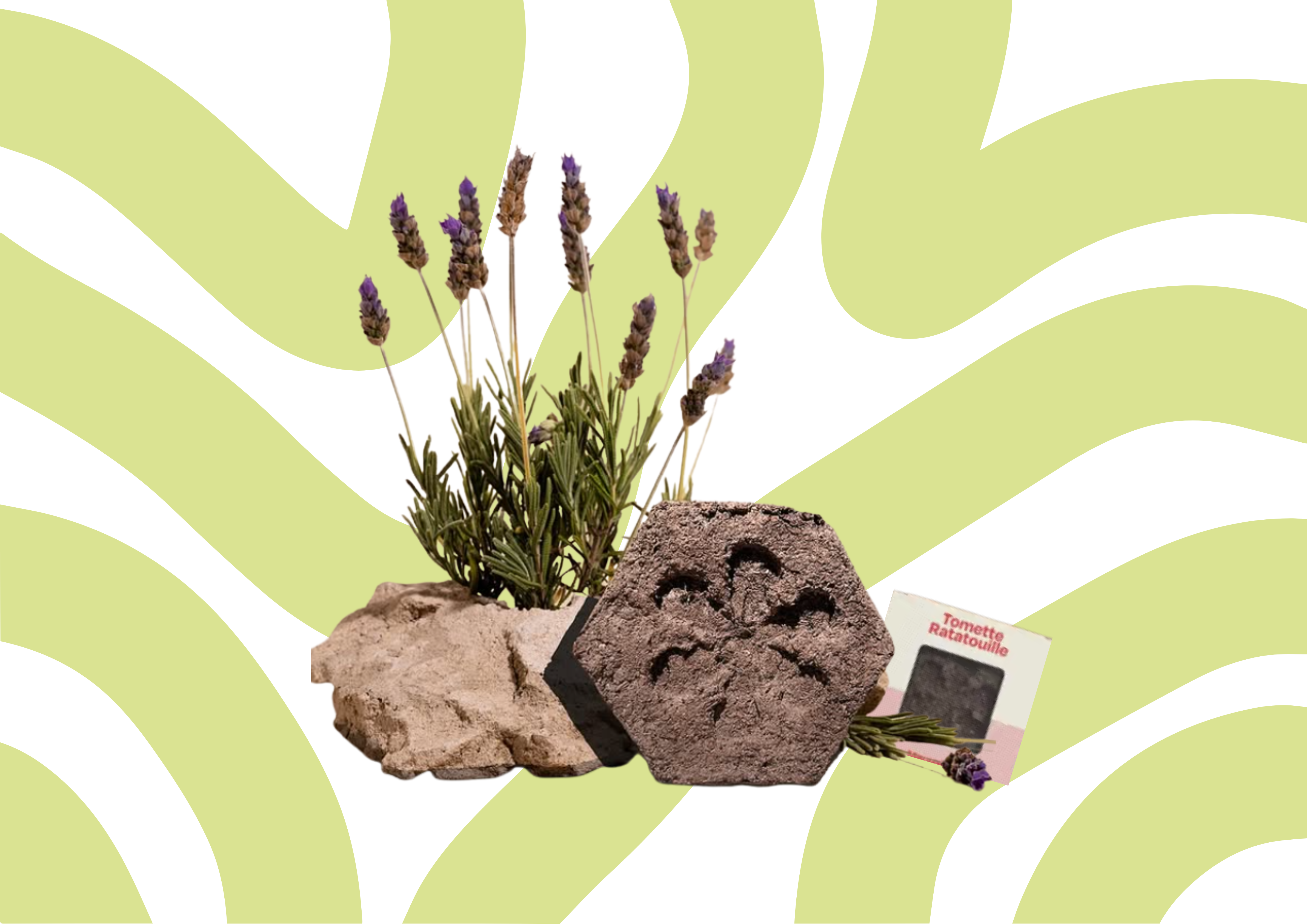 Green Tremplin - Ulule