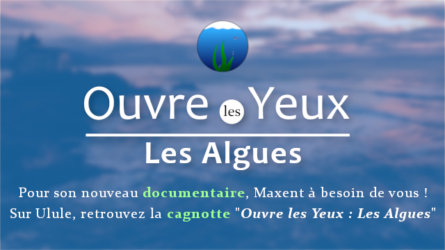 Dom 17000 Audurier Dominique - Ulule