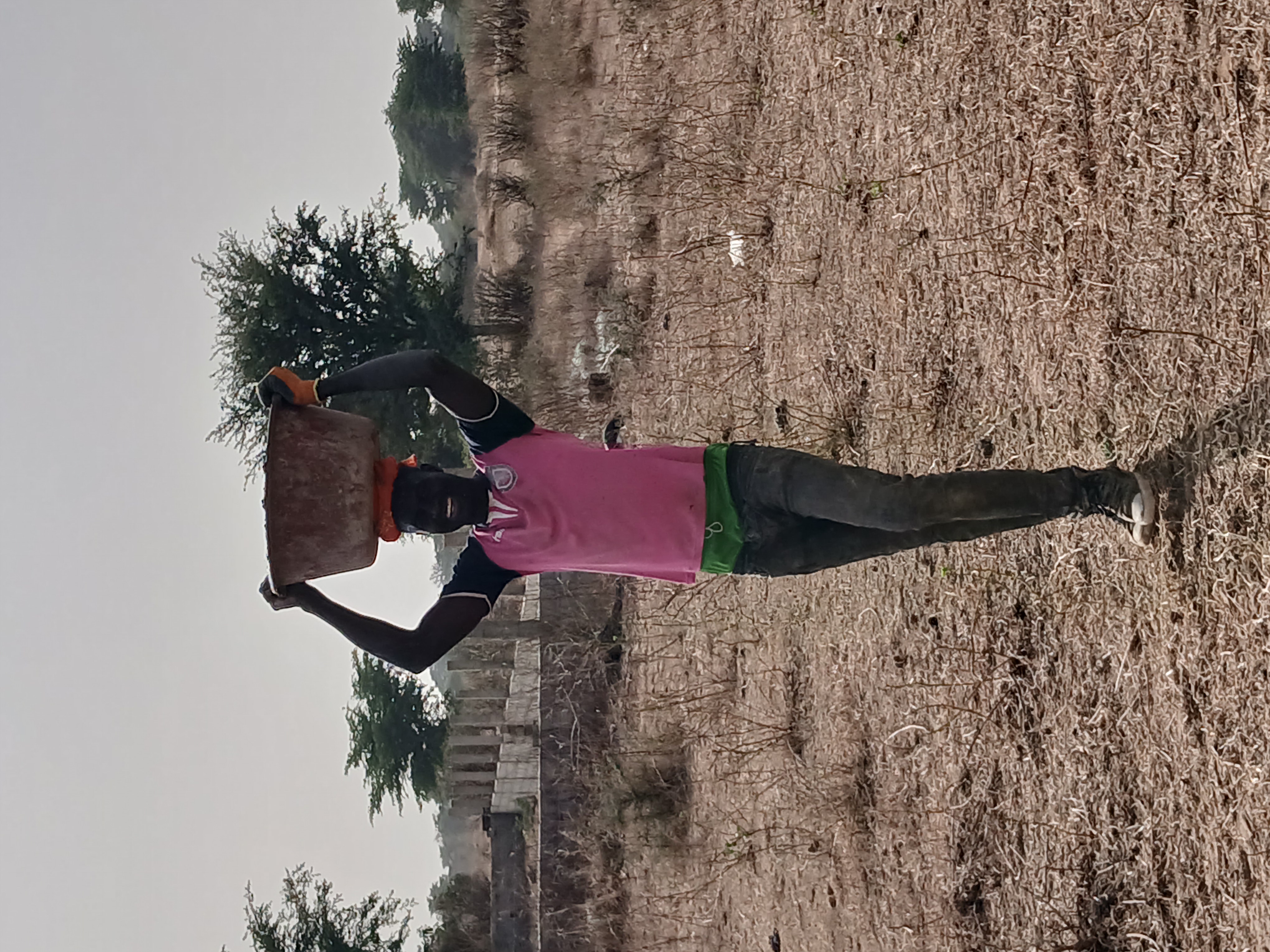 Appui au developpement d'un projet maraicher 🌱🪴 au Senegal