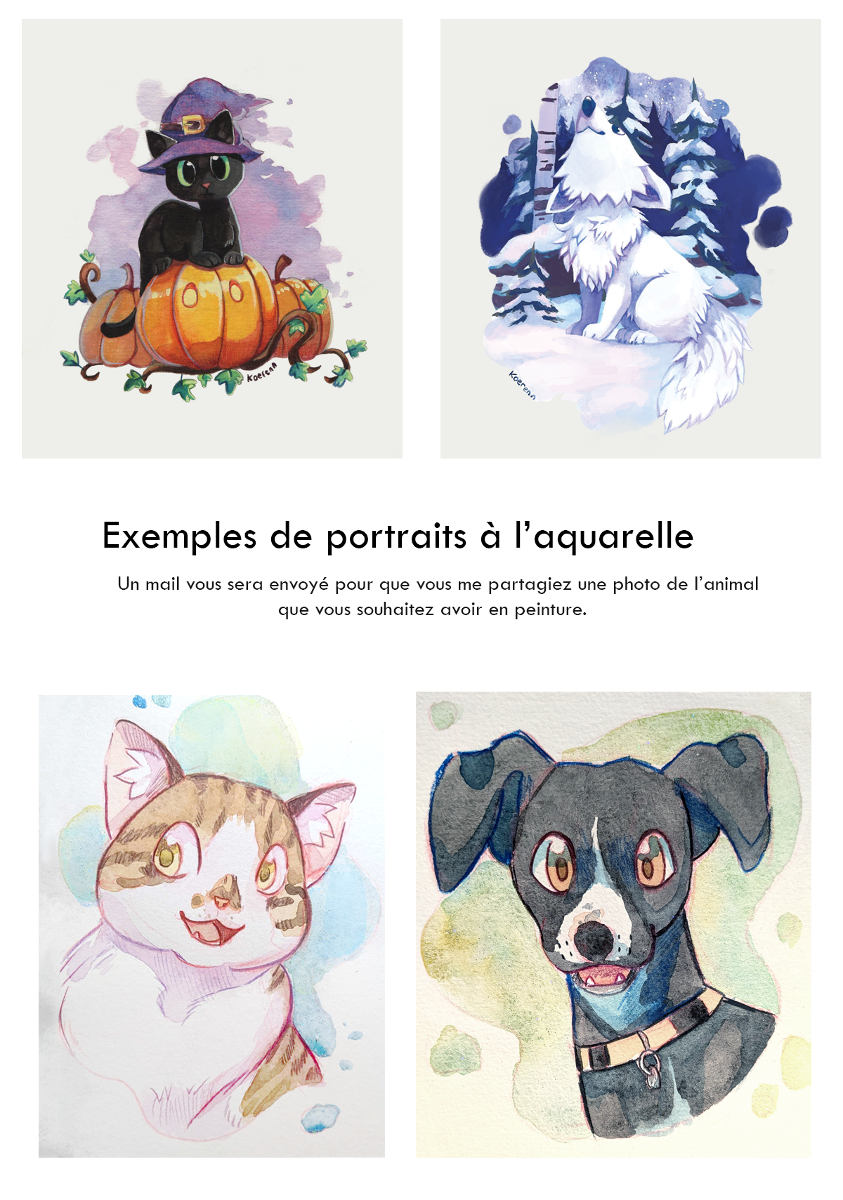 Livre illustré : Une page, un animal
