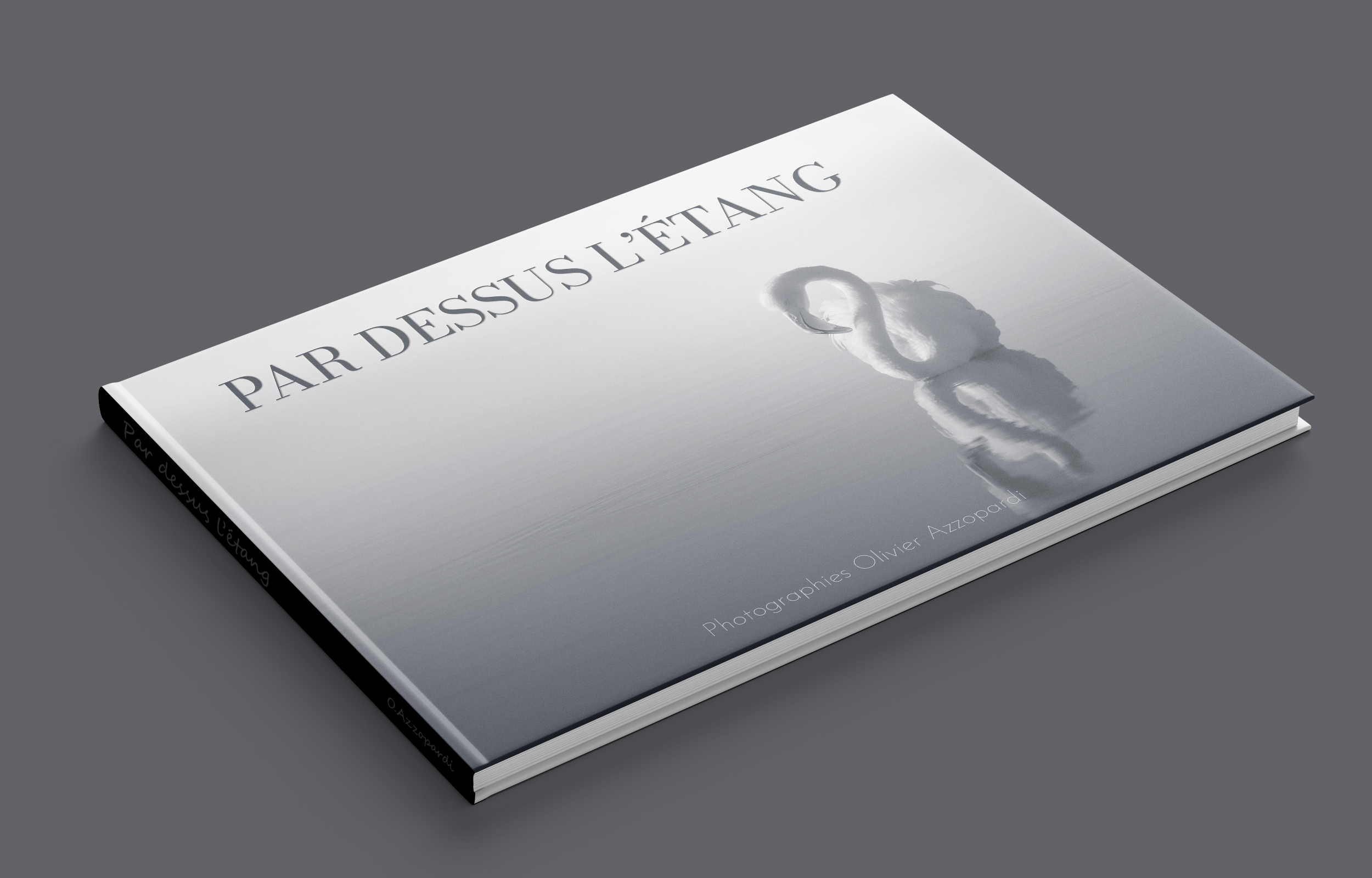 Par-dessus l’étang – Là où la nature devient poésie