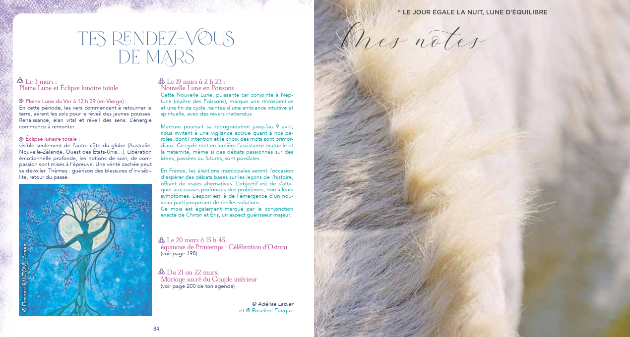 Dame Lune 2026, l'Agenda des Femmes - Ulule