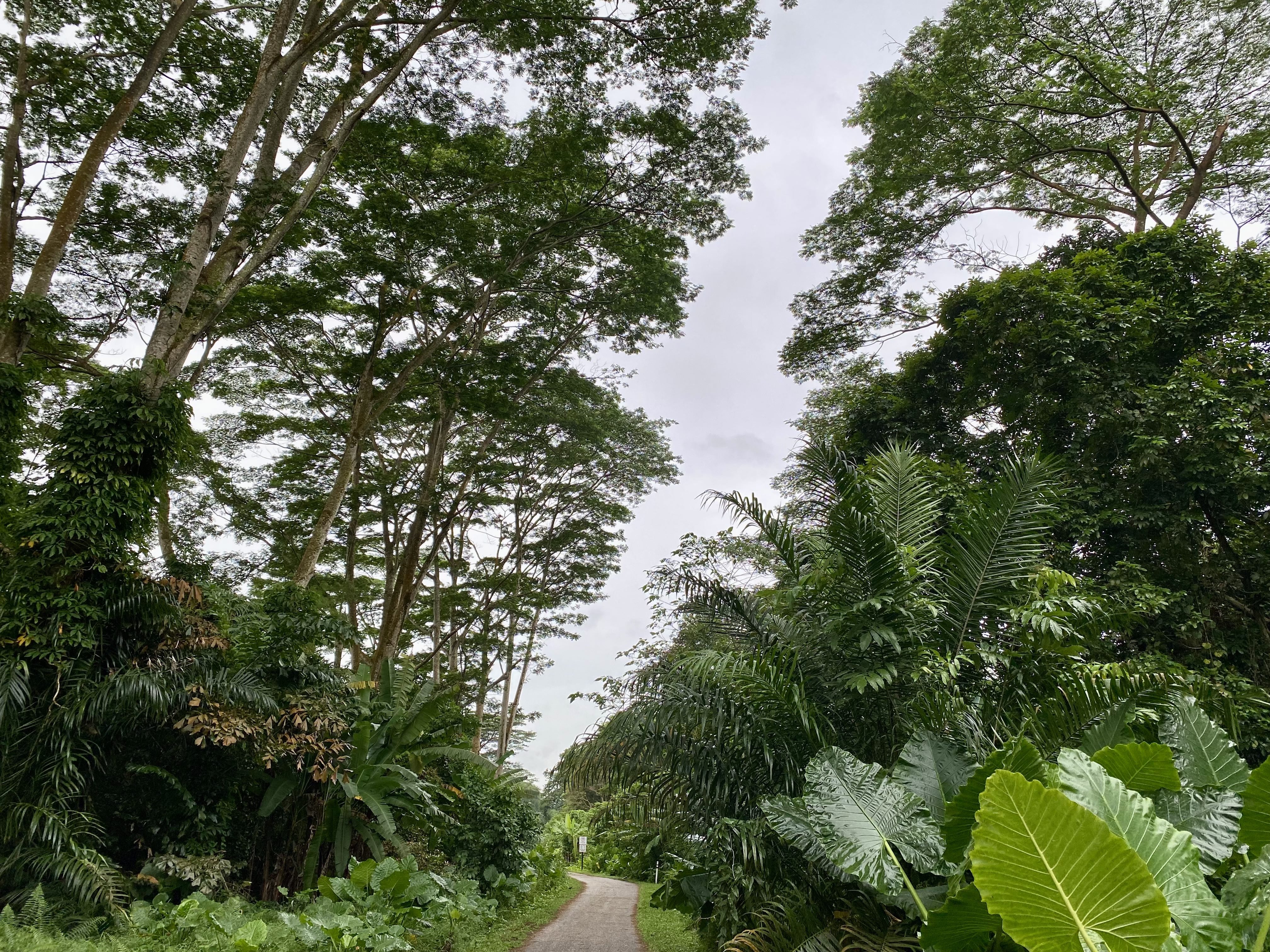 Marcher entre les lignes, un podcast qui fait voyager - Ulule